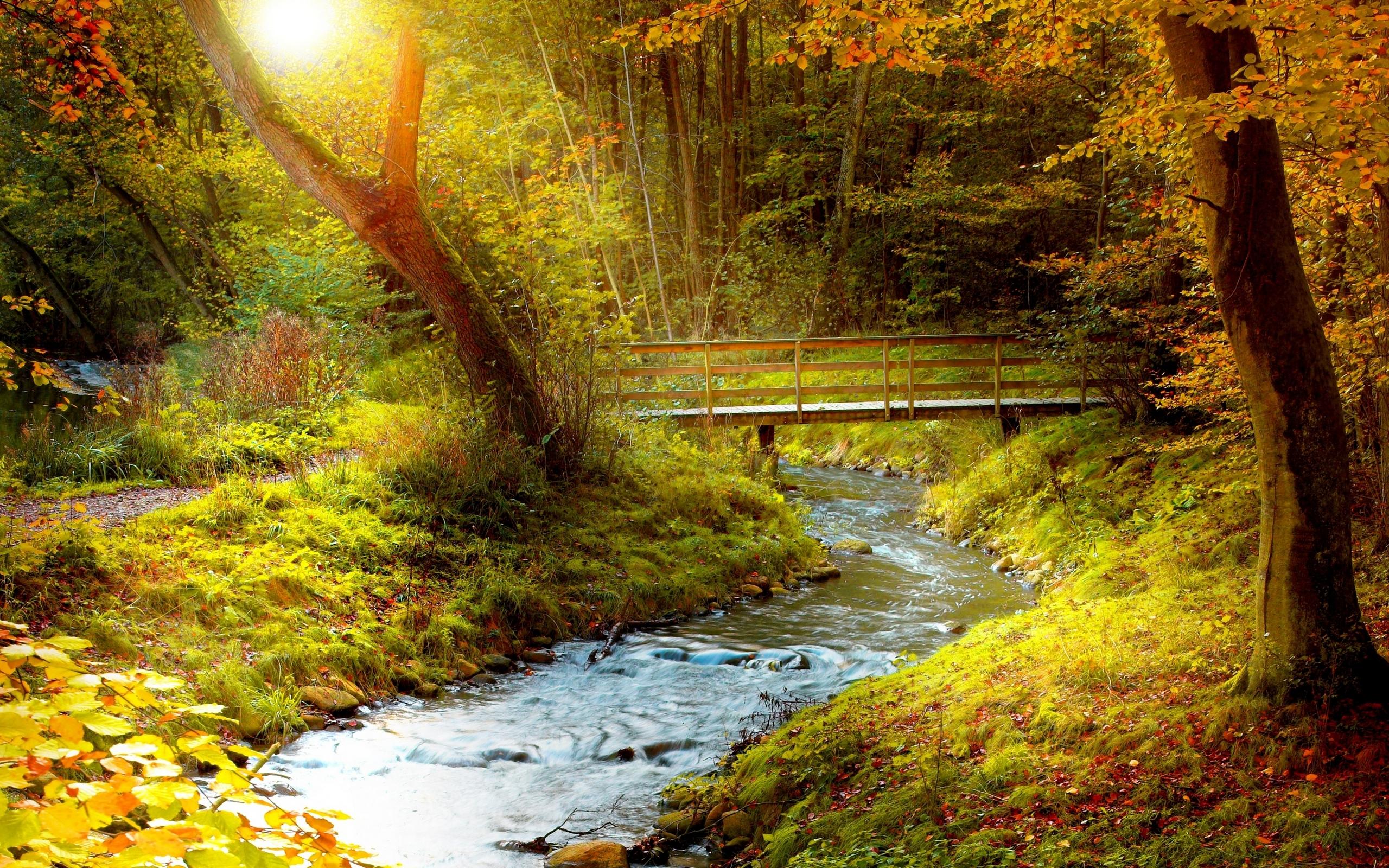 Spring Streams Wallpapers - Top Free Spring Streams Backgrounds ...