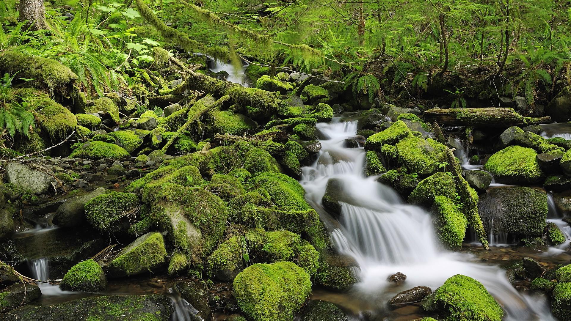 Spring Streams Wallpapers - Top Free Spring Streams Backgrounds ...