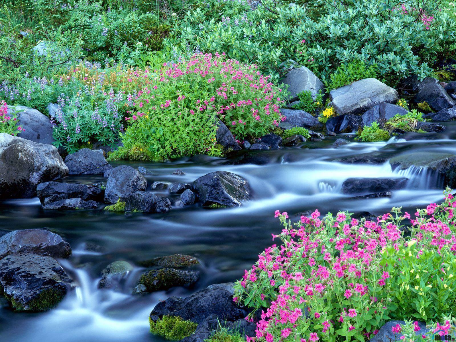 Spring Streams Wallpapers - Top Free Spring Streams Backgrounds ...