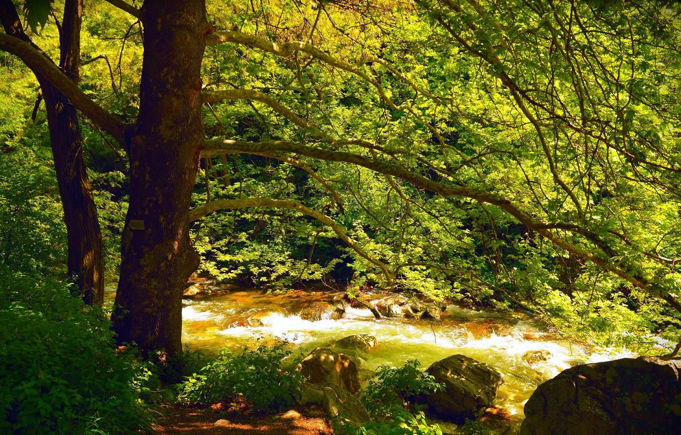 Spring Streams Wallpapers - Top Free Spring Streams Backgrounds ...