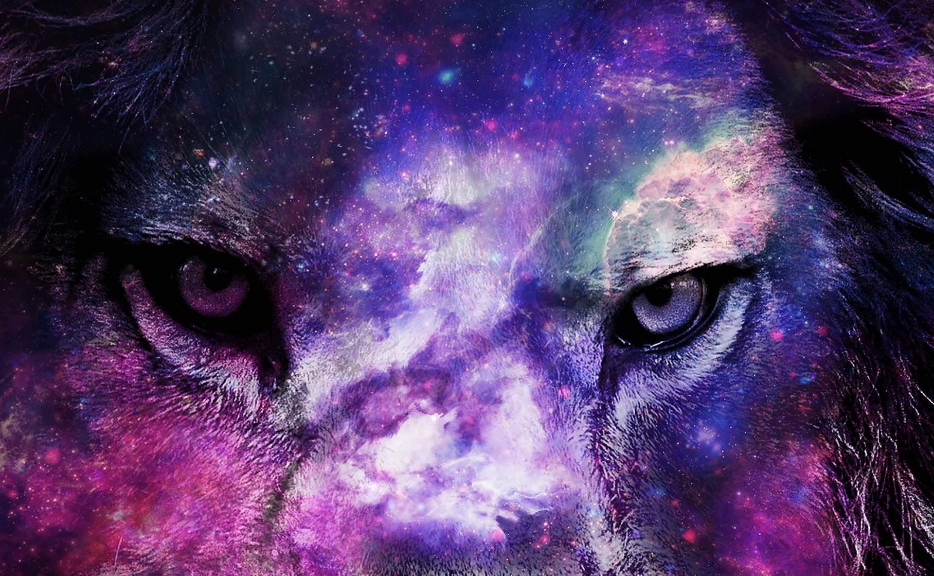 Cosmic Lion Wallpapers - Top Free Cosmic Lion Backgrounds - WallpaperAccess