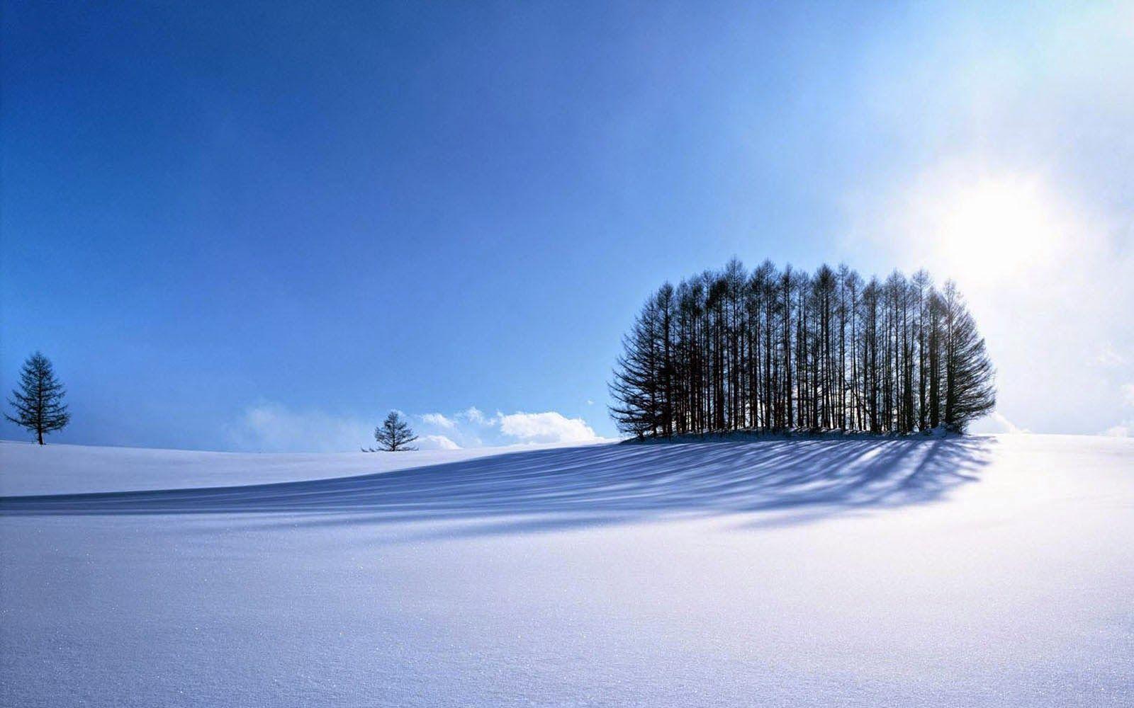 Beautiful Winter Scenery Wallpapers - Top Free Beautiful Winter Scenery ...