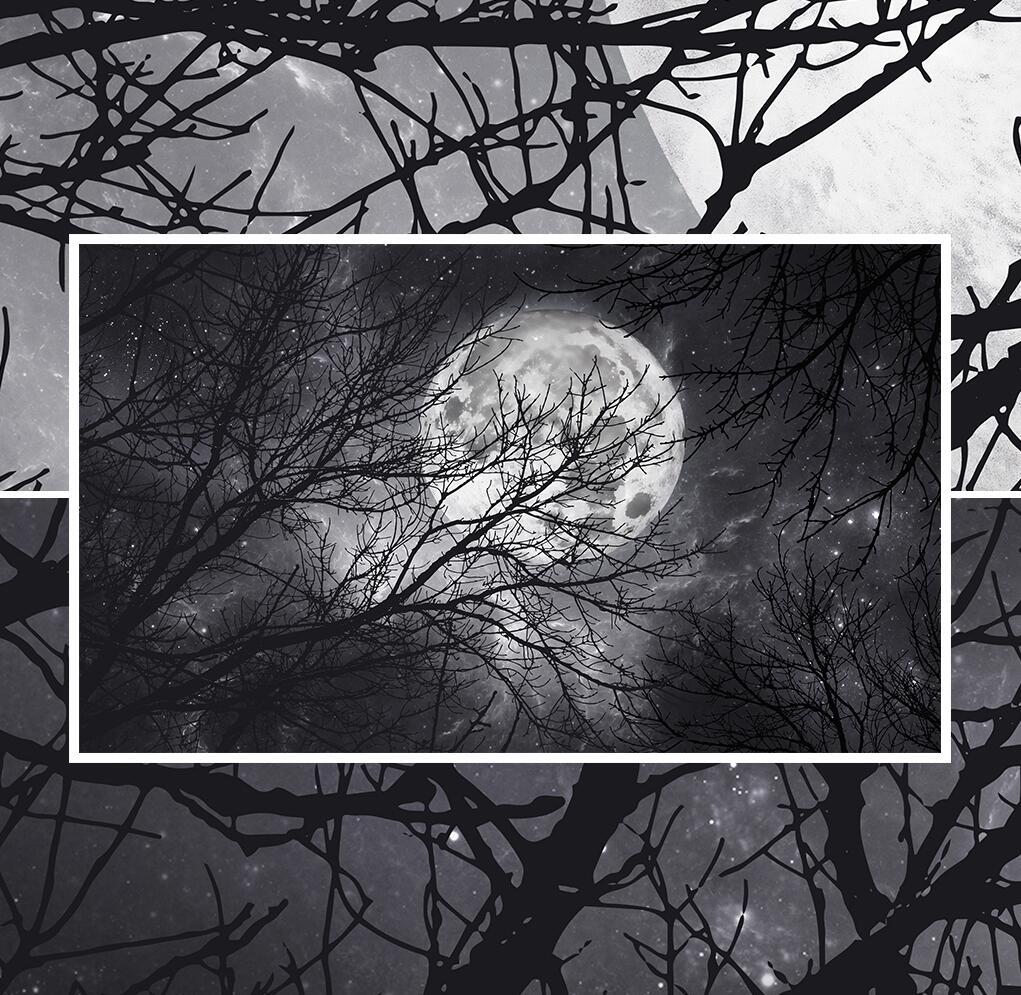 Dark Branches Wallpapers - Top Free Dark Branches Backgrounds ...