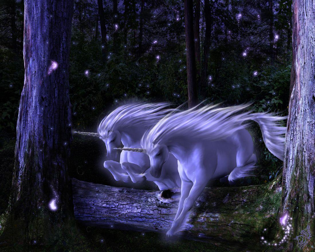 Beautiful Unicorn Wallpapers - Top Free Beautiful Unicorn Backgrounds ...