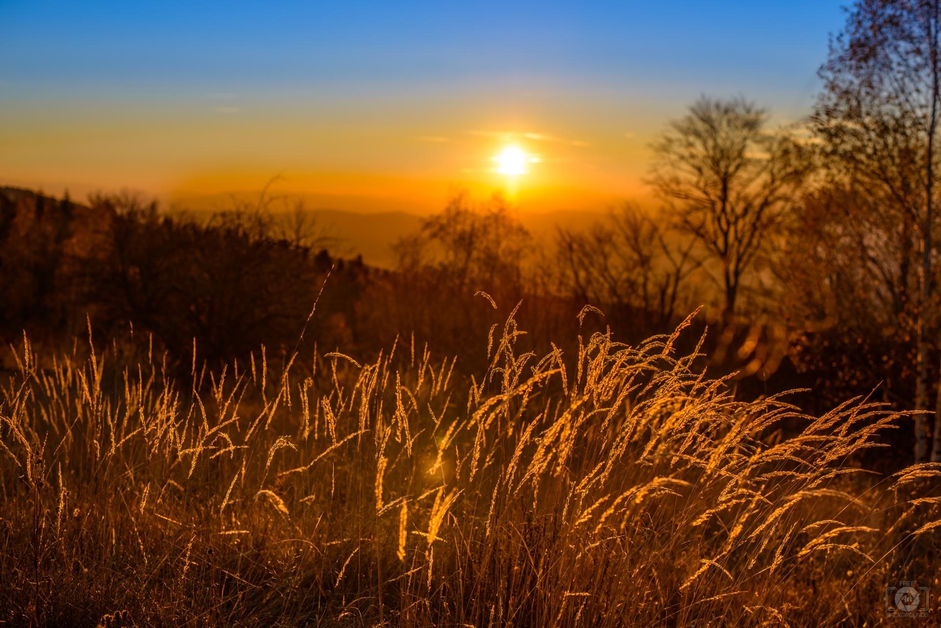 Autumn Sunset HD Wallpapers - Top Free Autumn Sunset HD Backgrounds - WallpaperAccess