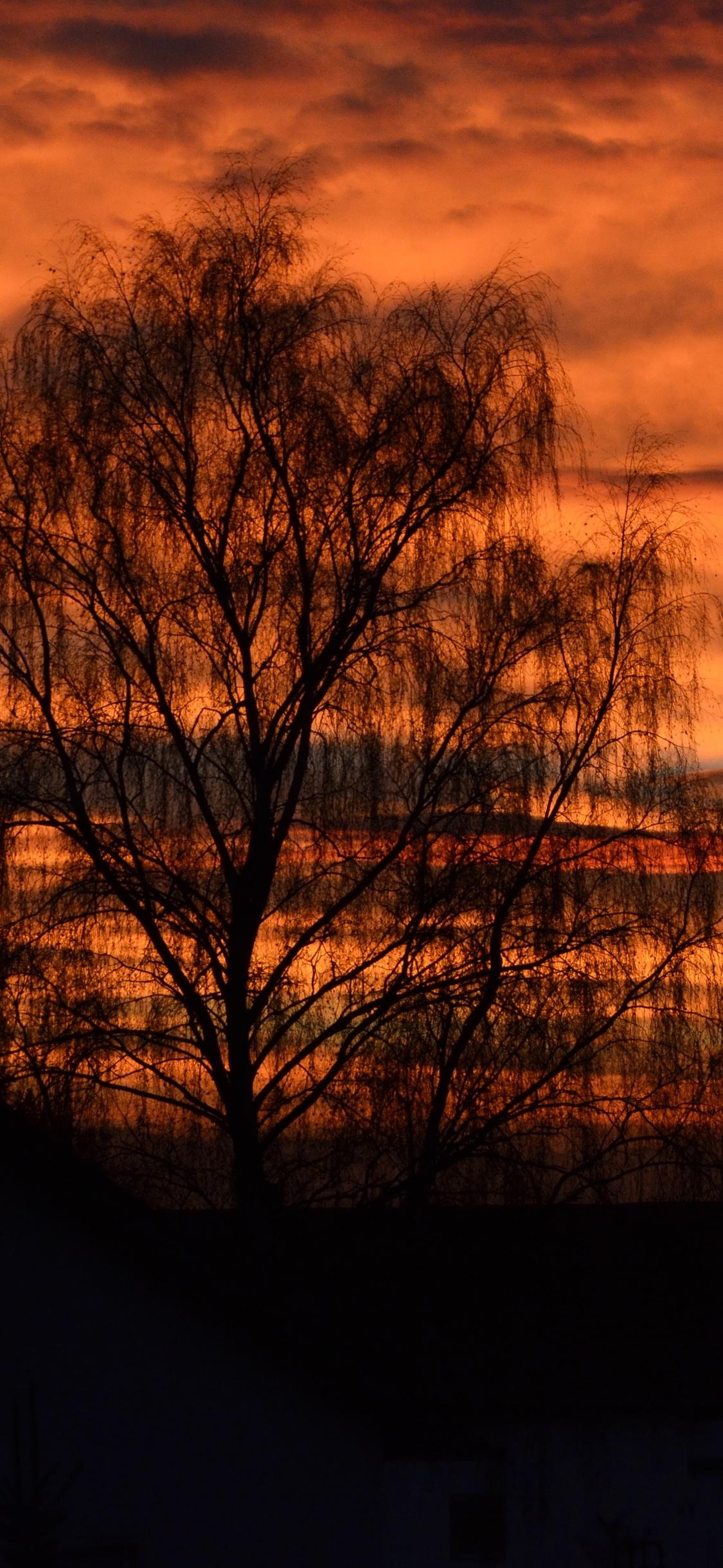 Autumn Sunset HD Wallpapers - Top Free Autumn Sunset HD Backgrounds ...