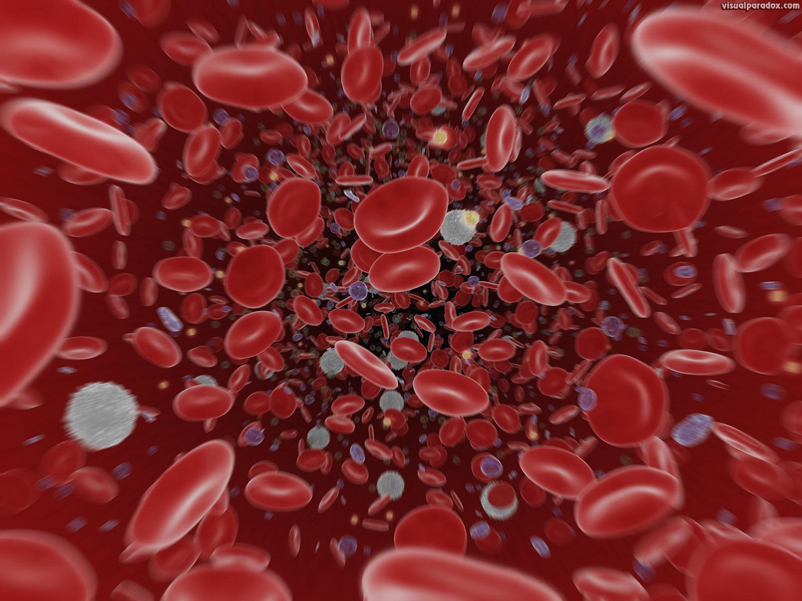 Red Blood Cell Wallpapers - Top Free Red Blood Cell Backgrounds ...