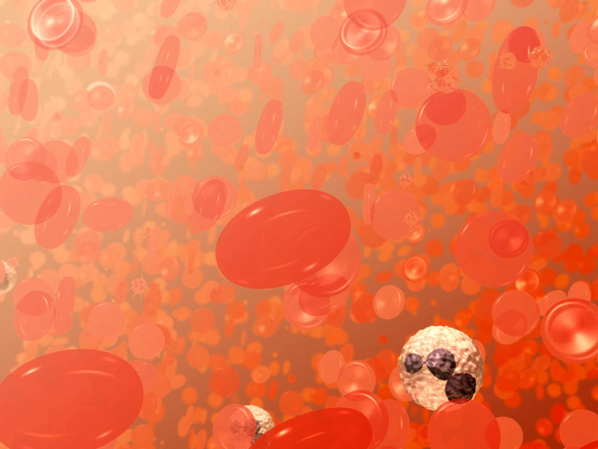 Red Blood Cell Wallpapers - Top Free Red Blood Cell Backgrounds ...