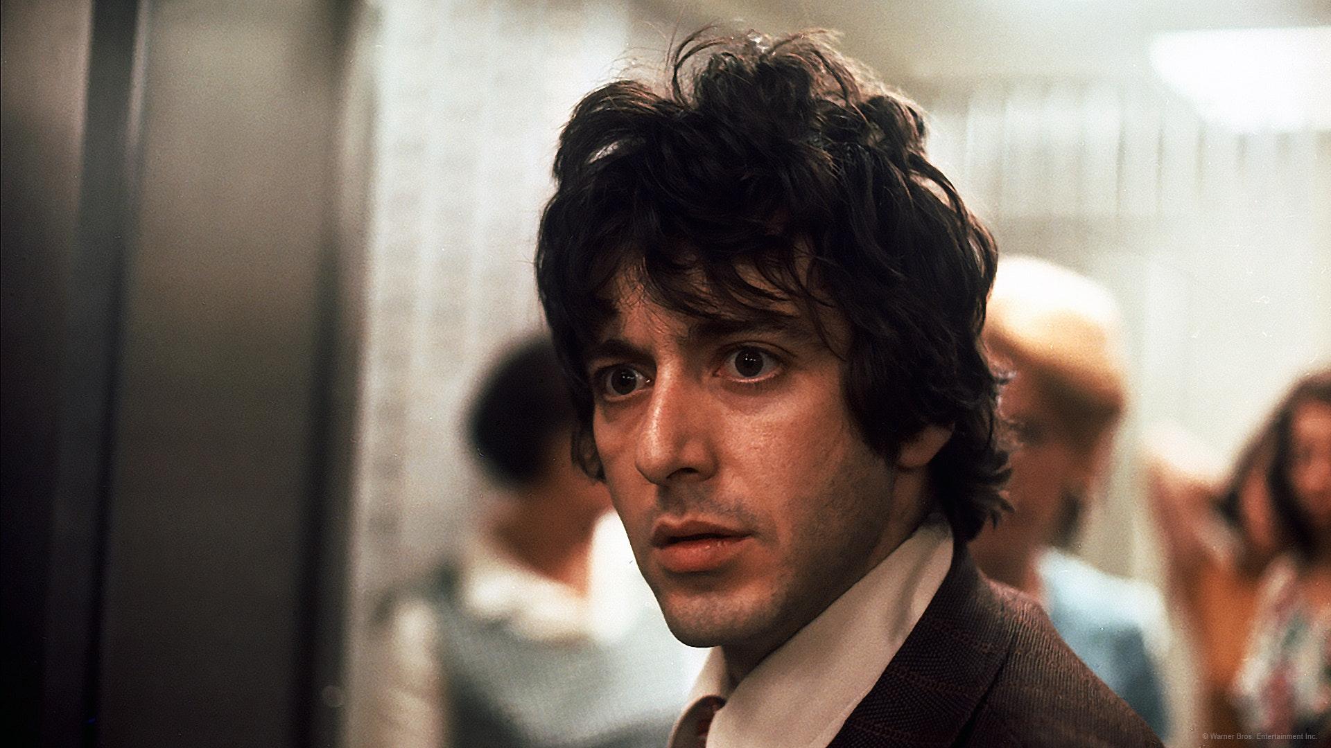 Dog Day Afternoon Wallpapers - Top Free Dog Day Afternoon Backgrounds ...