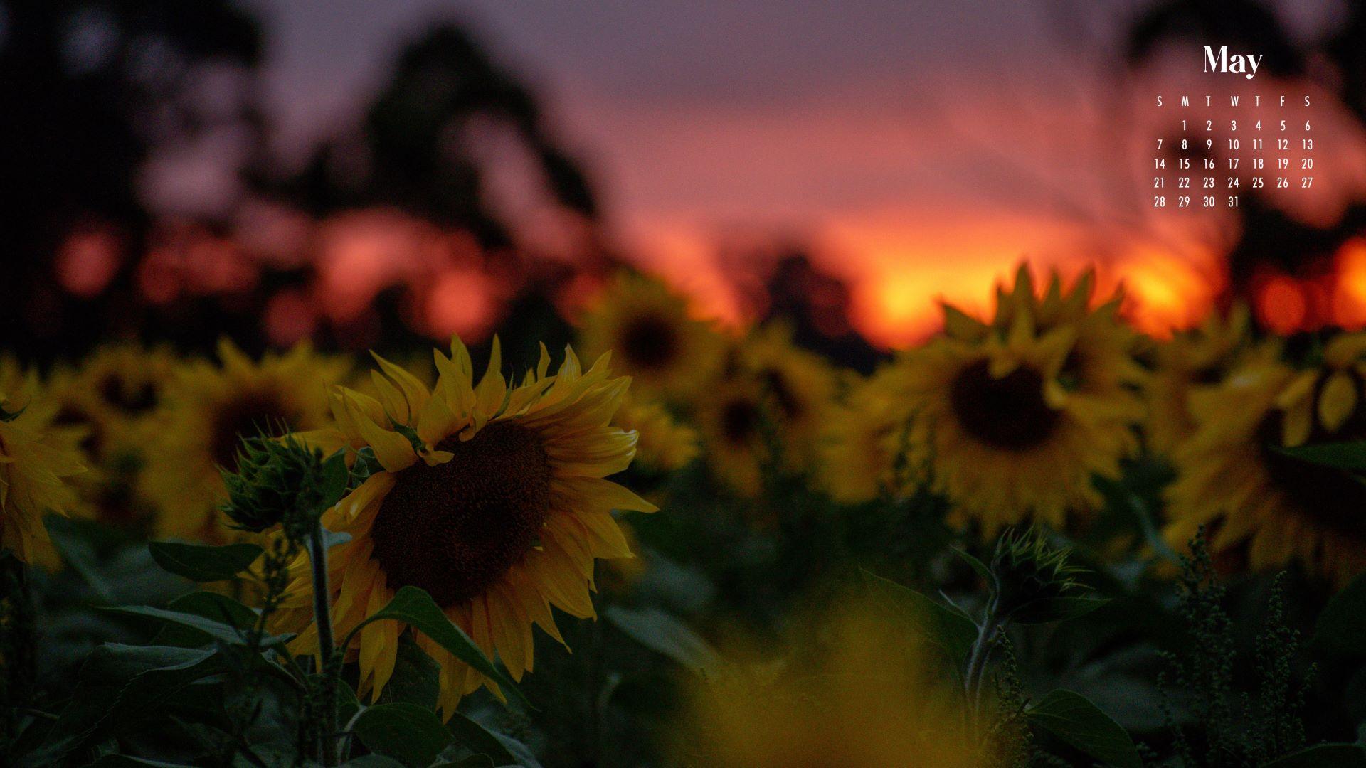 May 2023 Calendar Wallpapers - Top Free May 2023 Calendar Backgrounds ...