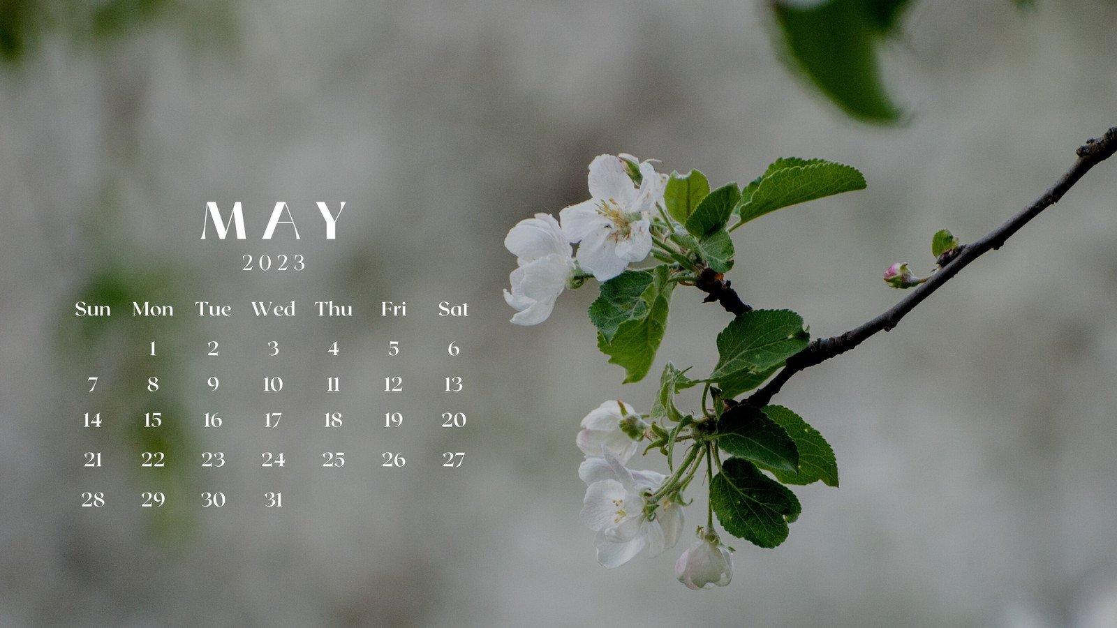 May 2023 Calendar Wallpapers - Top Free May 2023 Calendar Backgrounds ...