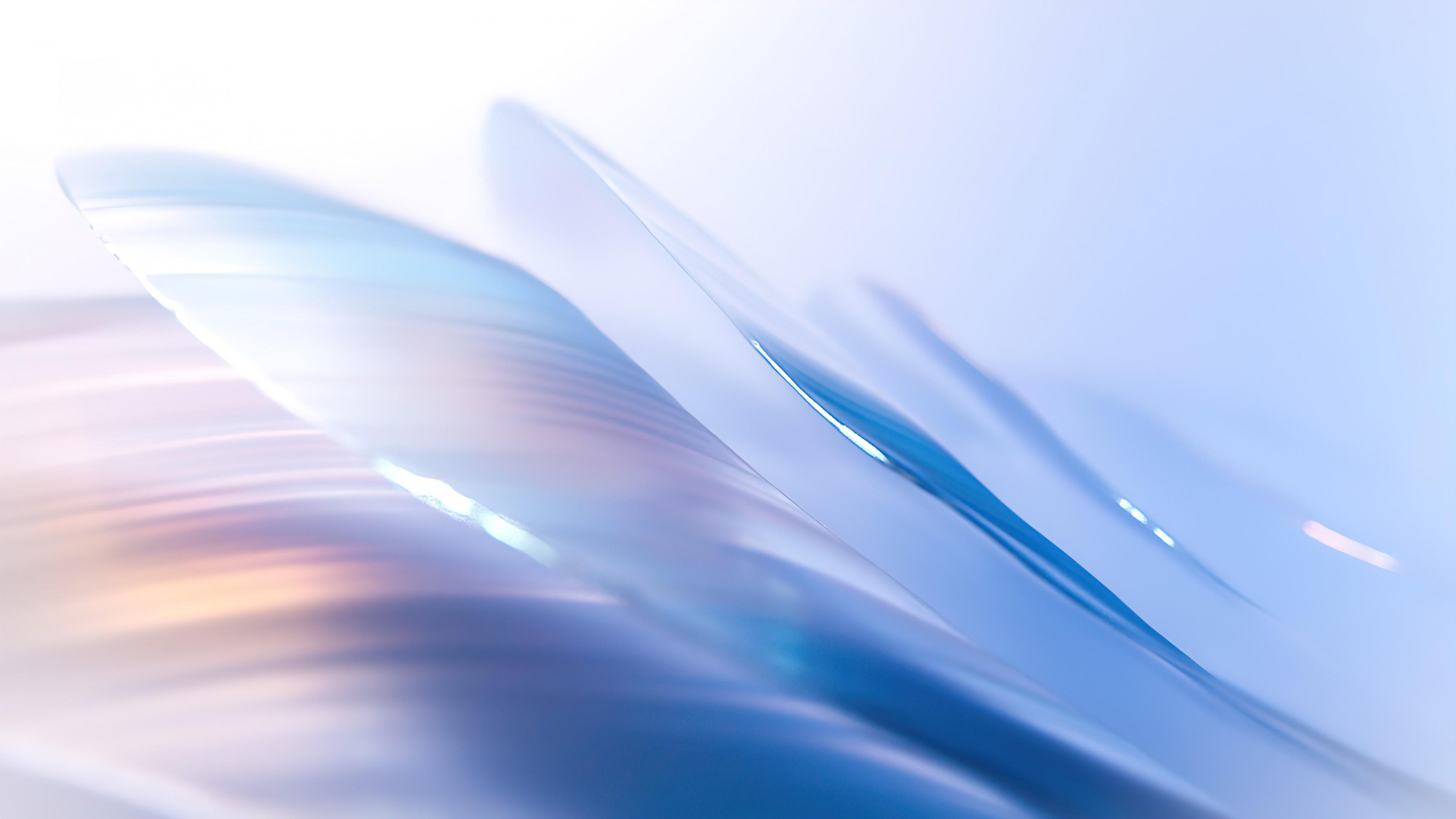 Windows 365 Wallpapers - Top Free Windows 365 Backgrounds - WallpaperAccess