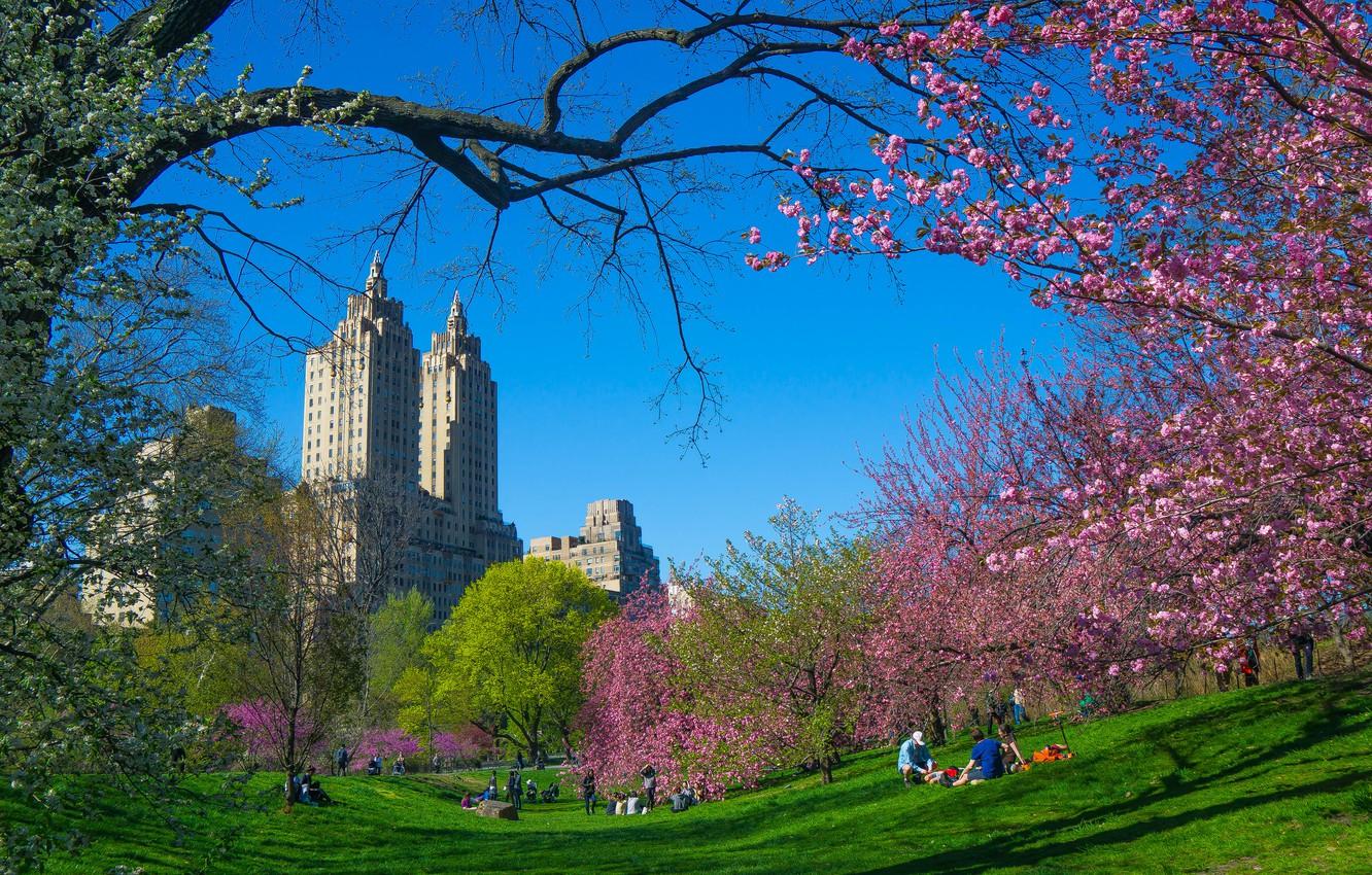 Spring in Central Park Wallpapers - Top Free Spring in Central Park ...