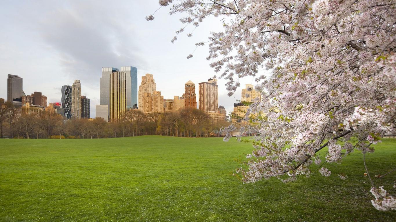 Spring in Central Park Wallpapers - Top Free Spring in Central Park ...