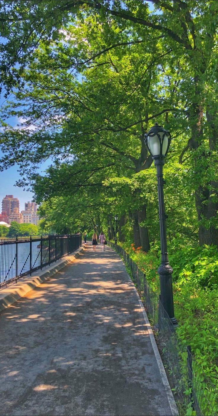 Spring in Central Park Wallpapers - Top Free Spring in Central Park ...