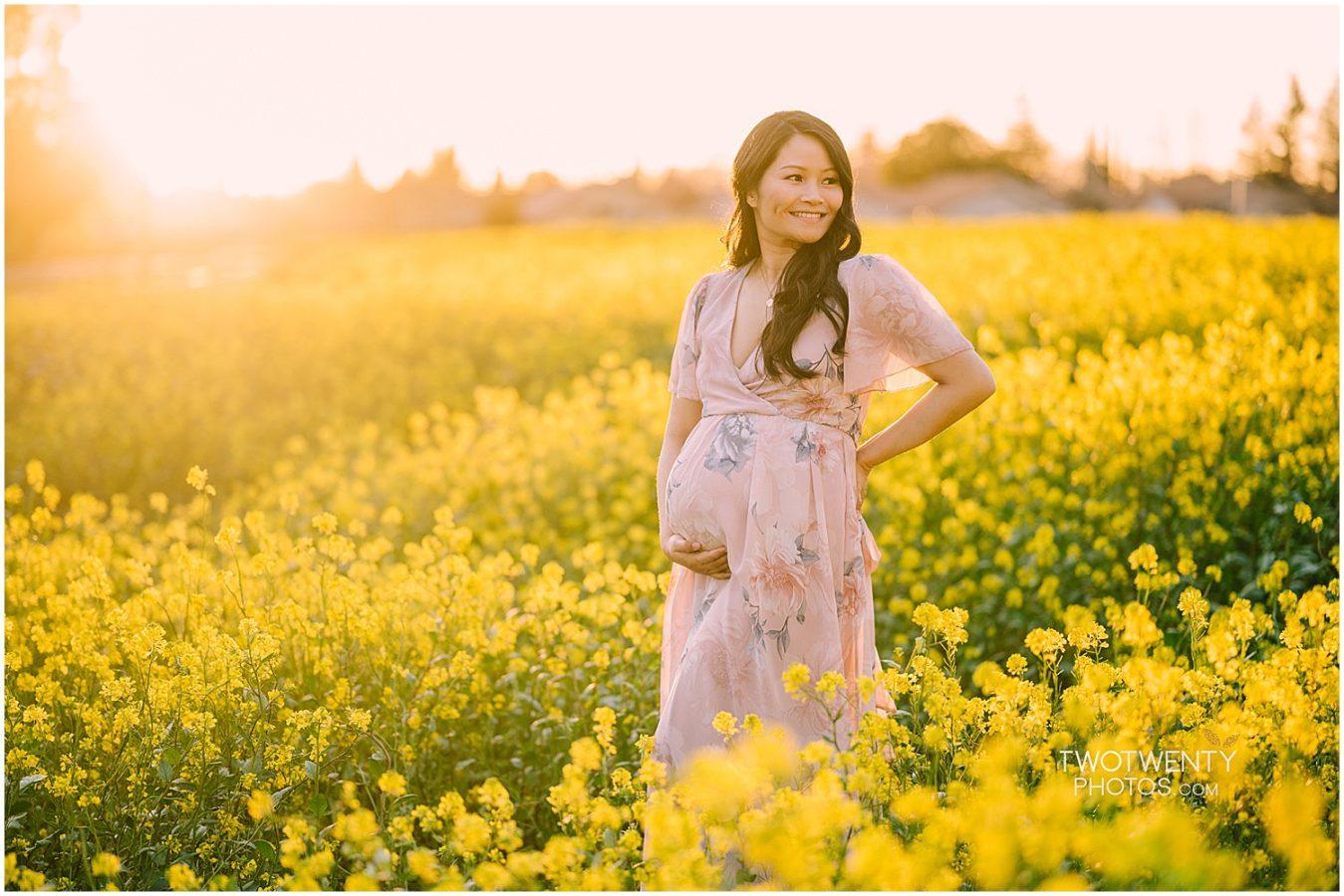 Mustard Field Wallpapers - Top Free Mustard Field Backgrounds ...