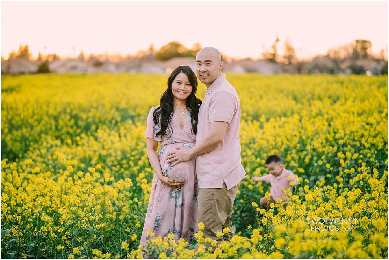 Mustard Field Wallpapers - Top Free Mustard Field Backgrounds ...