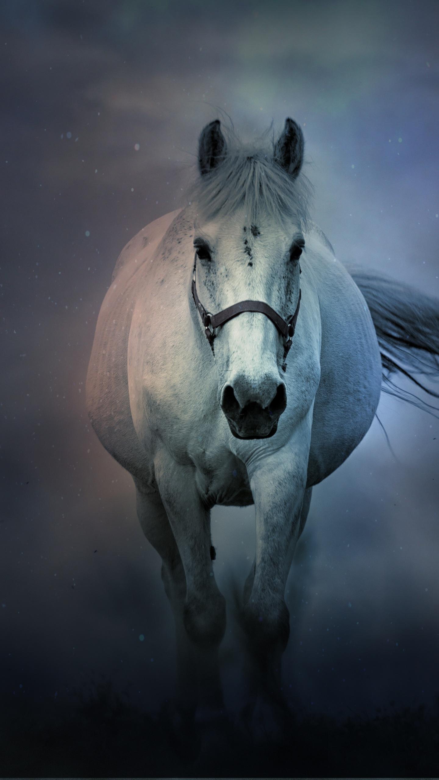 Running Phone Wallpapers - Top Free Running Phone Backgrounds ...