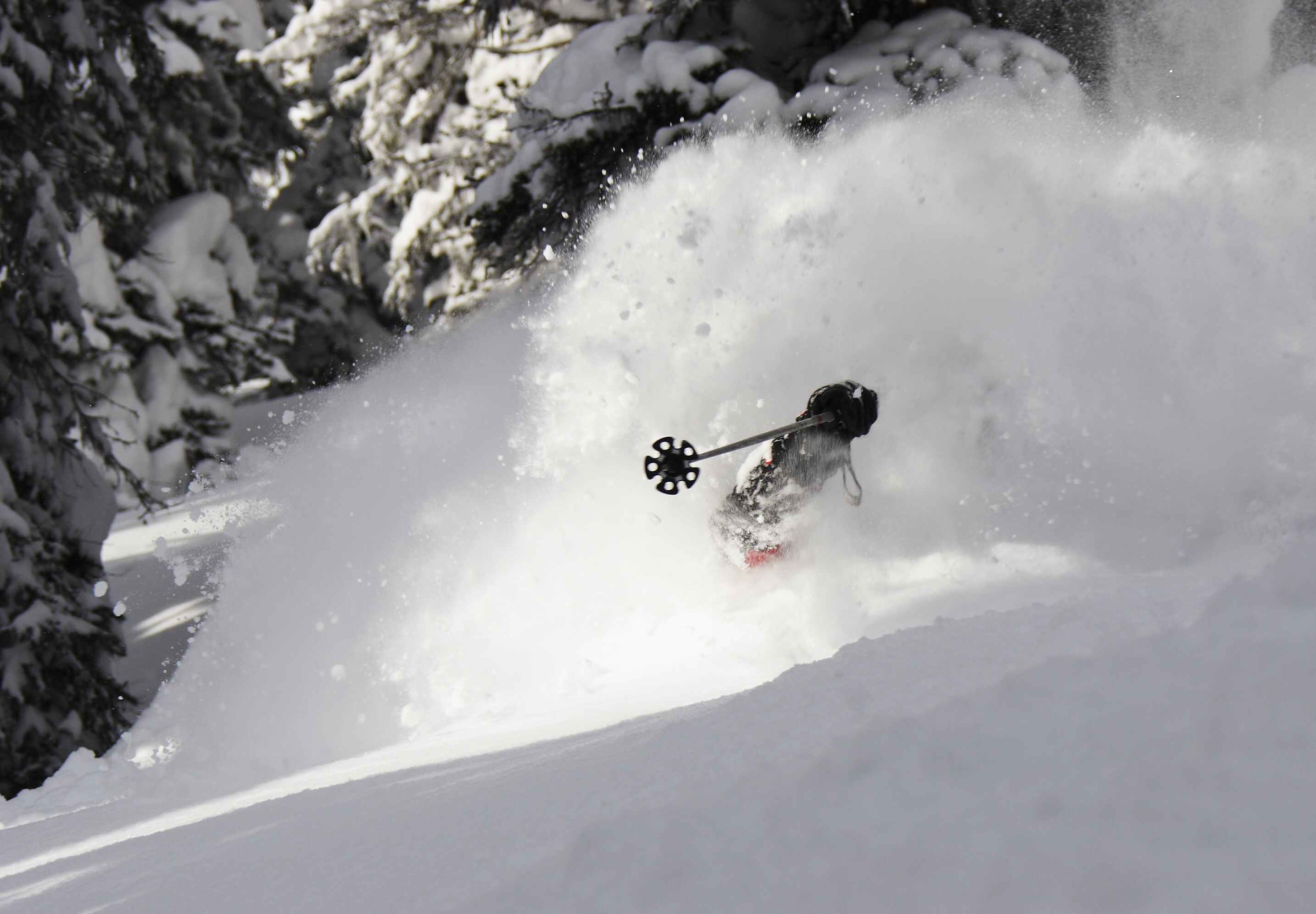 Powder Skiing Wallpapers - Top Free Powder Skiing Backgrounds ... Powder Skiing Wallpapers - Top Free Powder Skiing Backgrounds ...