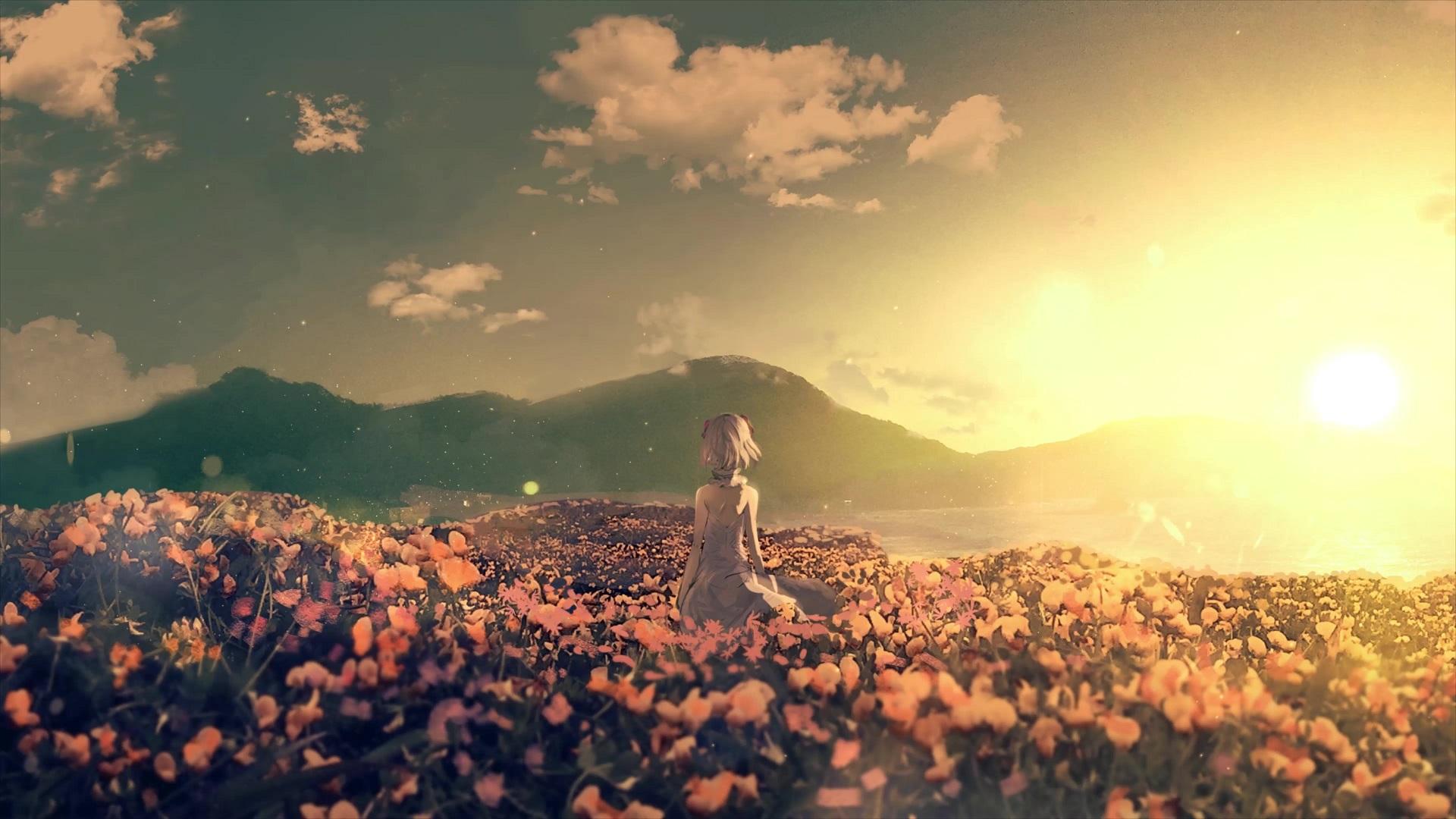 Anime Flower Field Wallpapers - Top Free Anime Flower Field Backgrounds ...