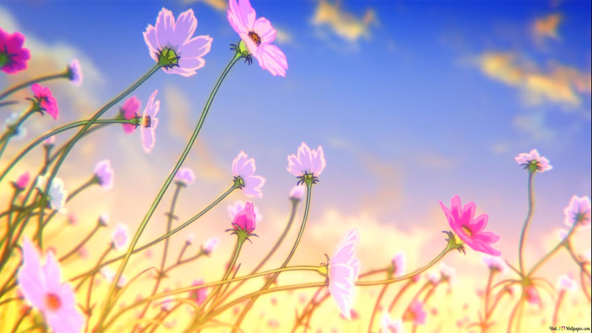 Anime Flower Field Wallpapers - Top Free Anime Flower Field Backgrounds ...