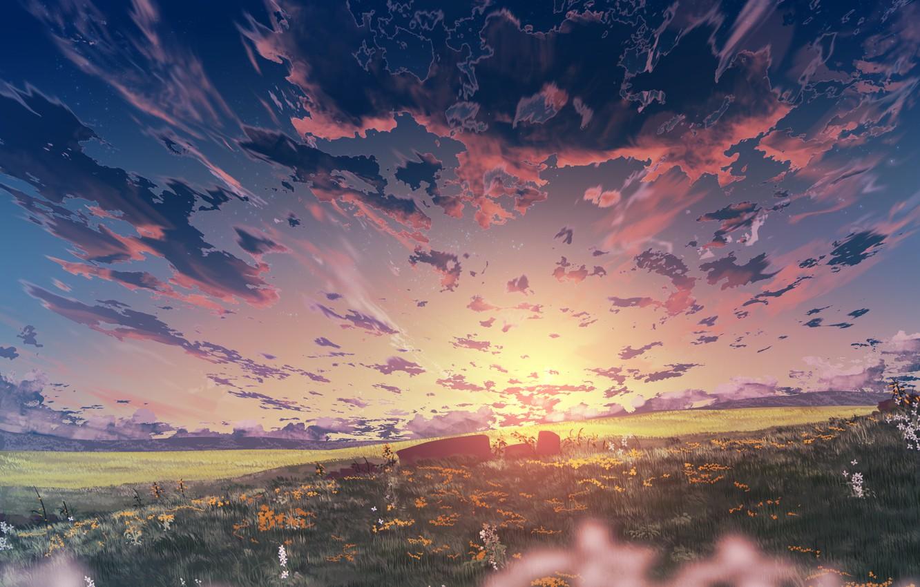 Anime Flower Field Wallpapers - Top Free Anime Flower Field Backgrounds ...