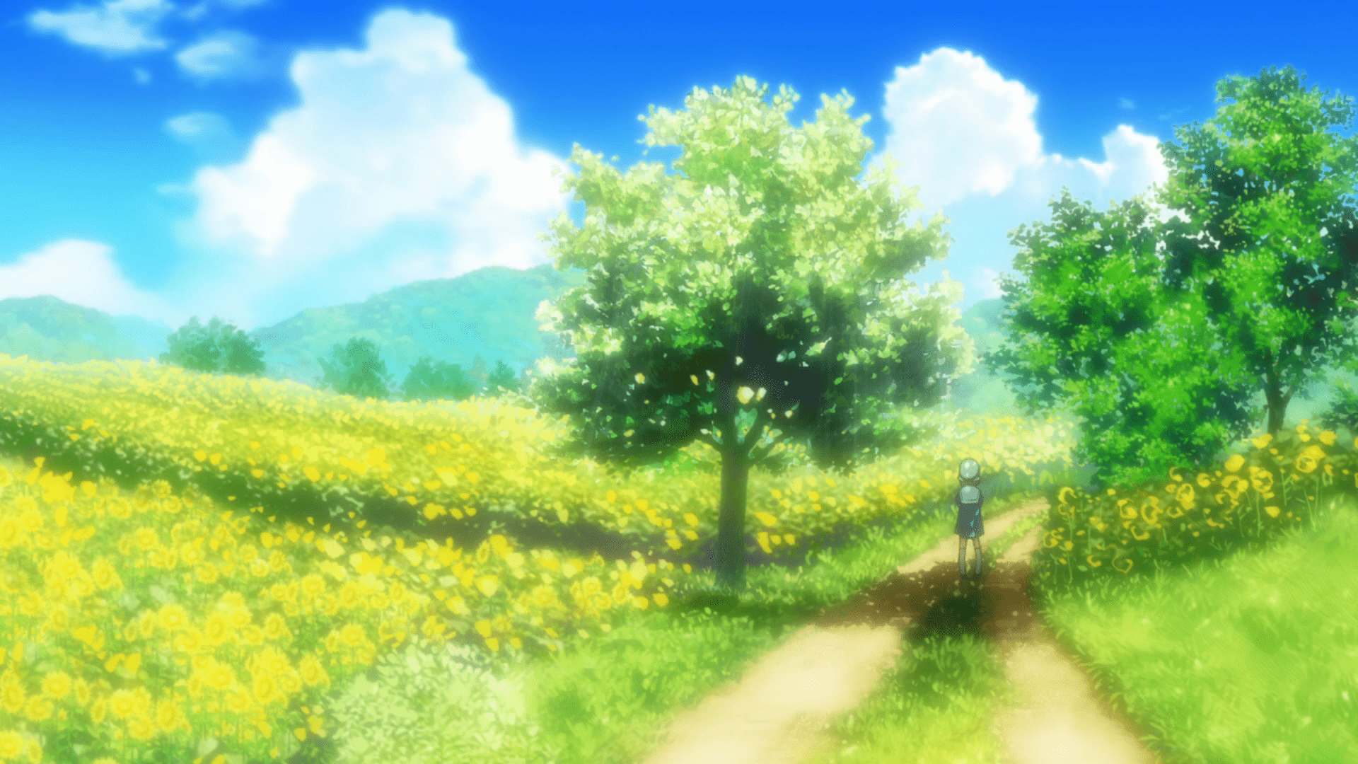 Anime Flower Field Wallpapers - Top Free Anime Flower Field Backgrounds ...