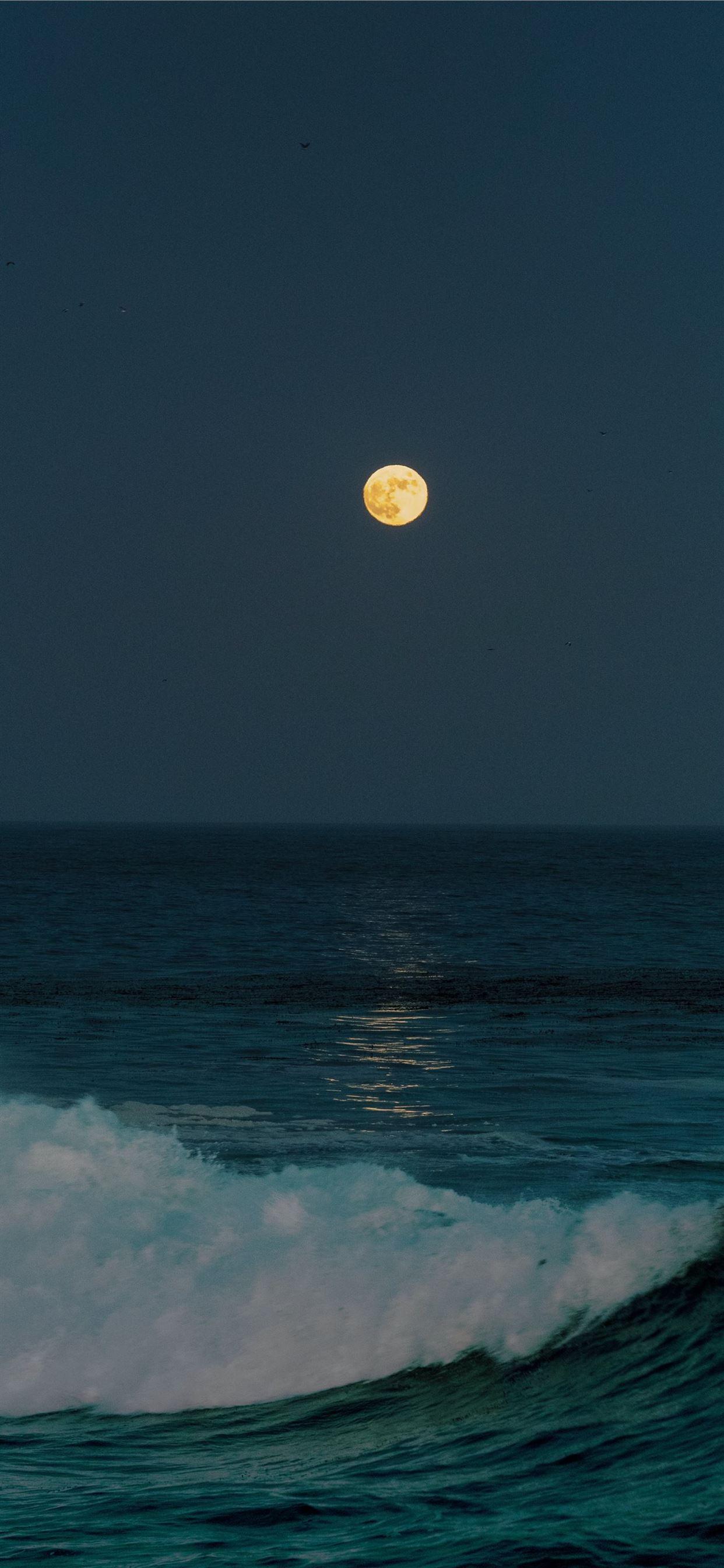 Moon Over Ocean Wallpapers - Top Free Moon Over Ocean Backgrounds ...