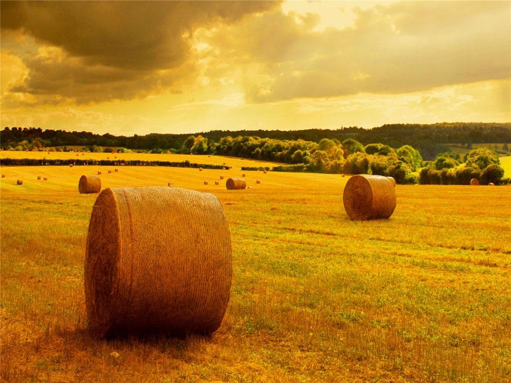 Harvest Time Wallpapers - Top Free Harvest Time Backgrounds ...