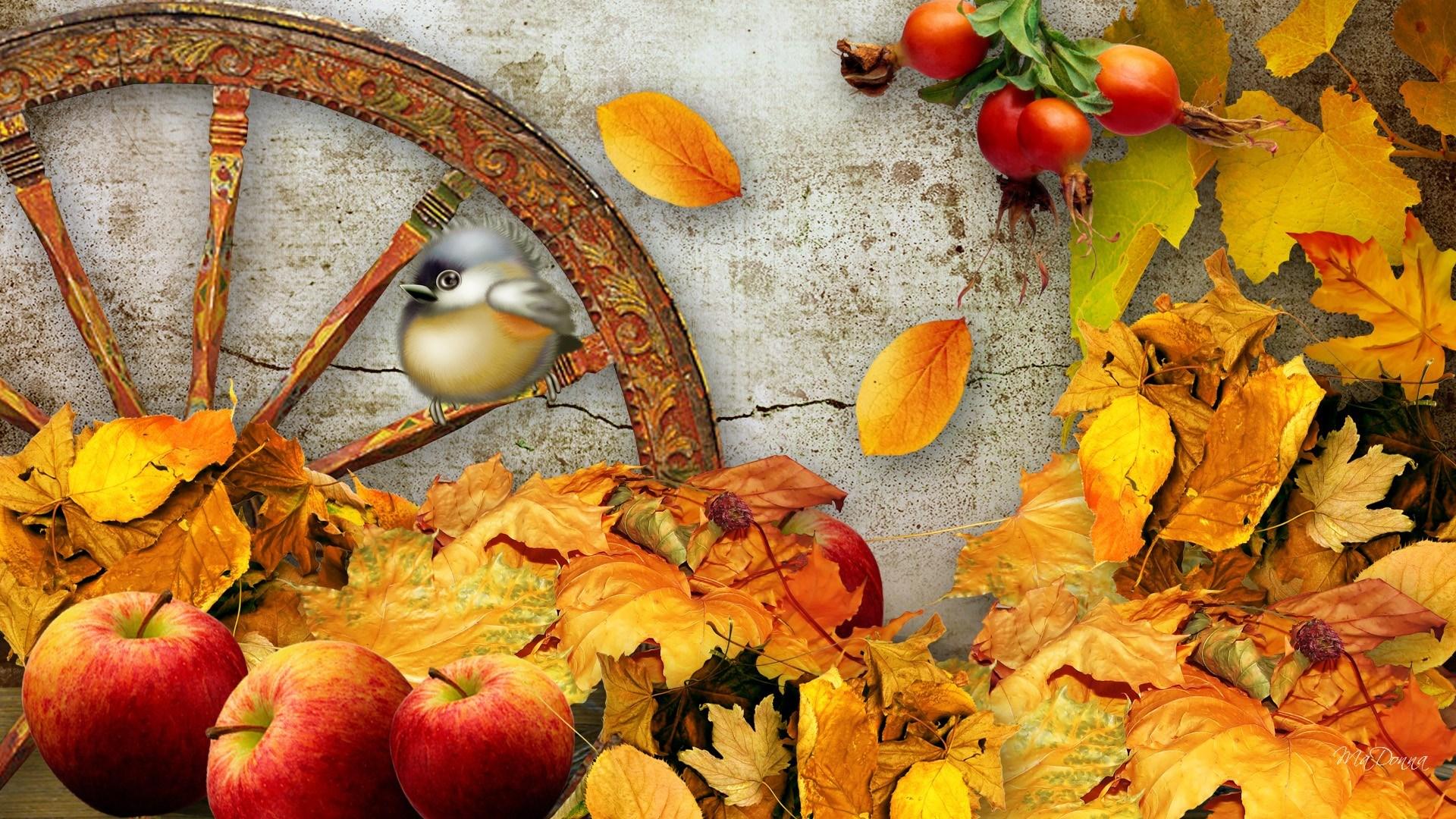 Harvest Time Wallpapers - Top Free Harvest Time Backgrounds ...