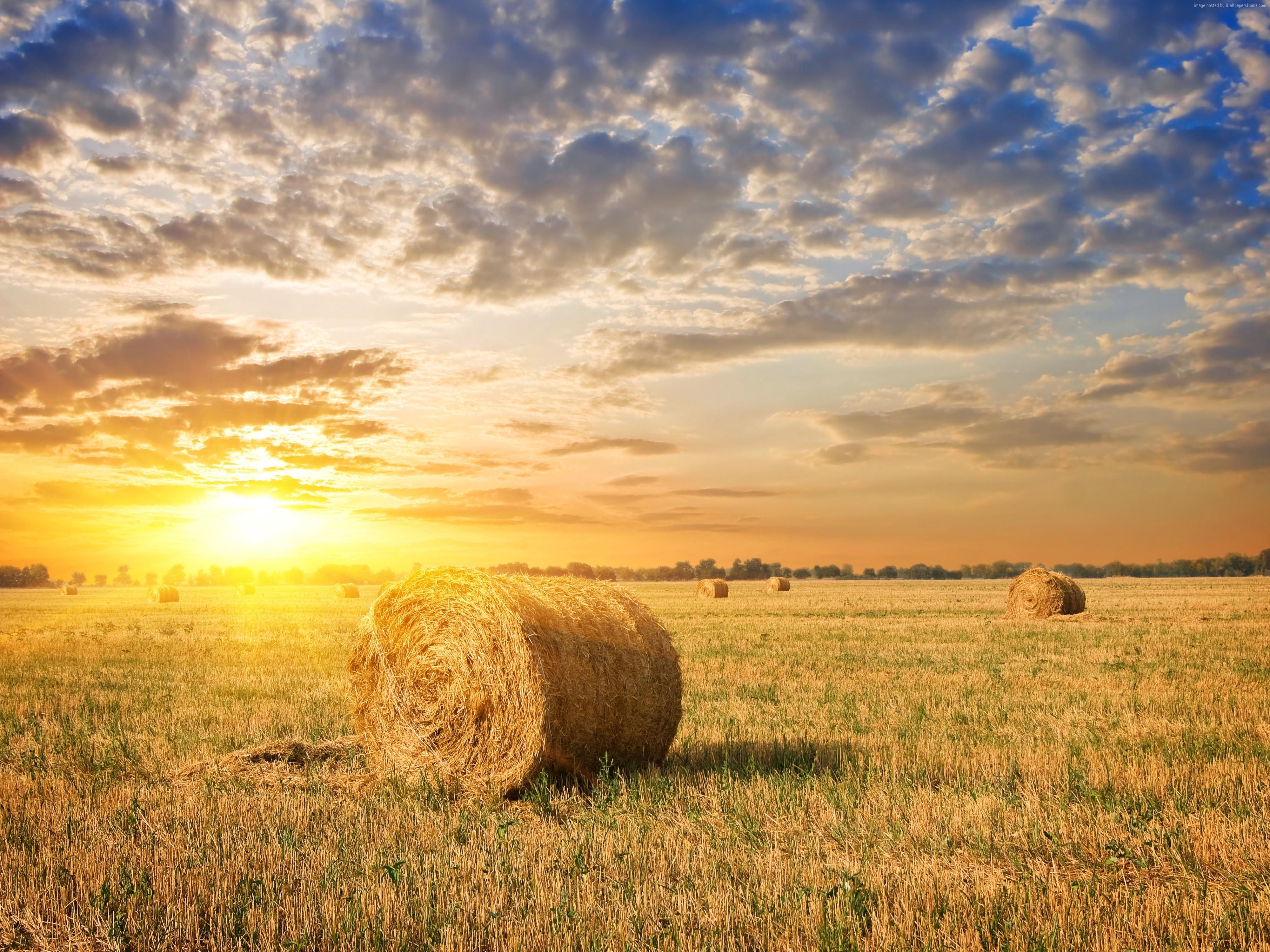 Harvest Time Wallpapers - Top Free Harvest Time Backgrounds ...