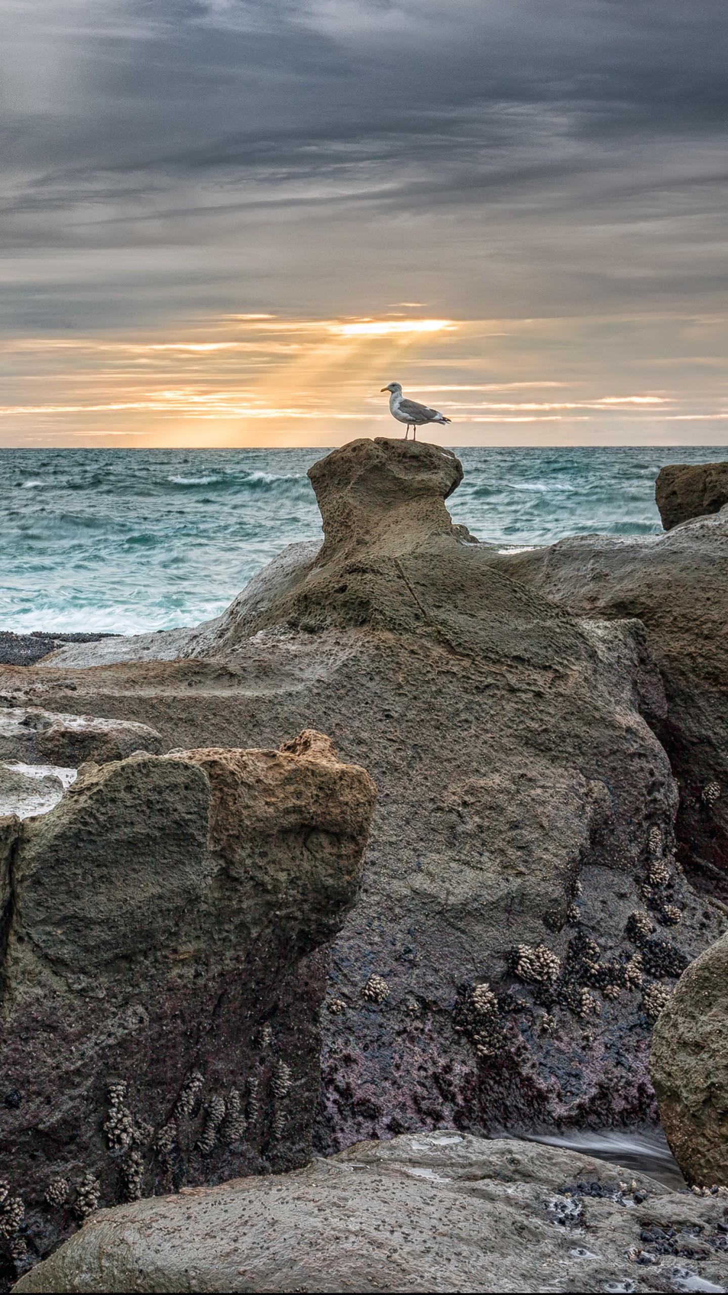 Oregon Coast Sunset Wallpapers - Top Free Oregon Coast Sunset ...
