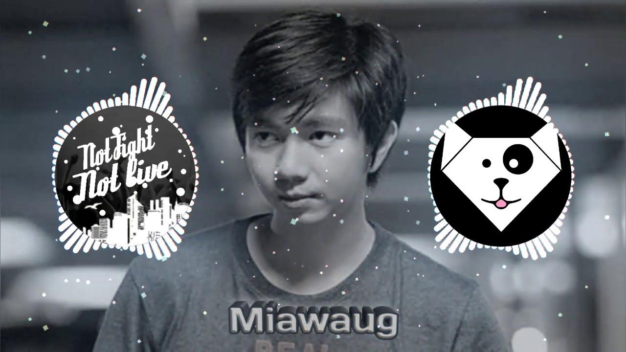 Miawaug Wallpapers - Top Free Miawaug Backgrounds - WallpaperAccess