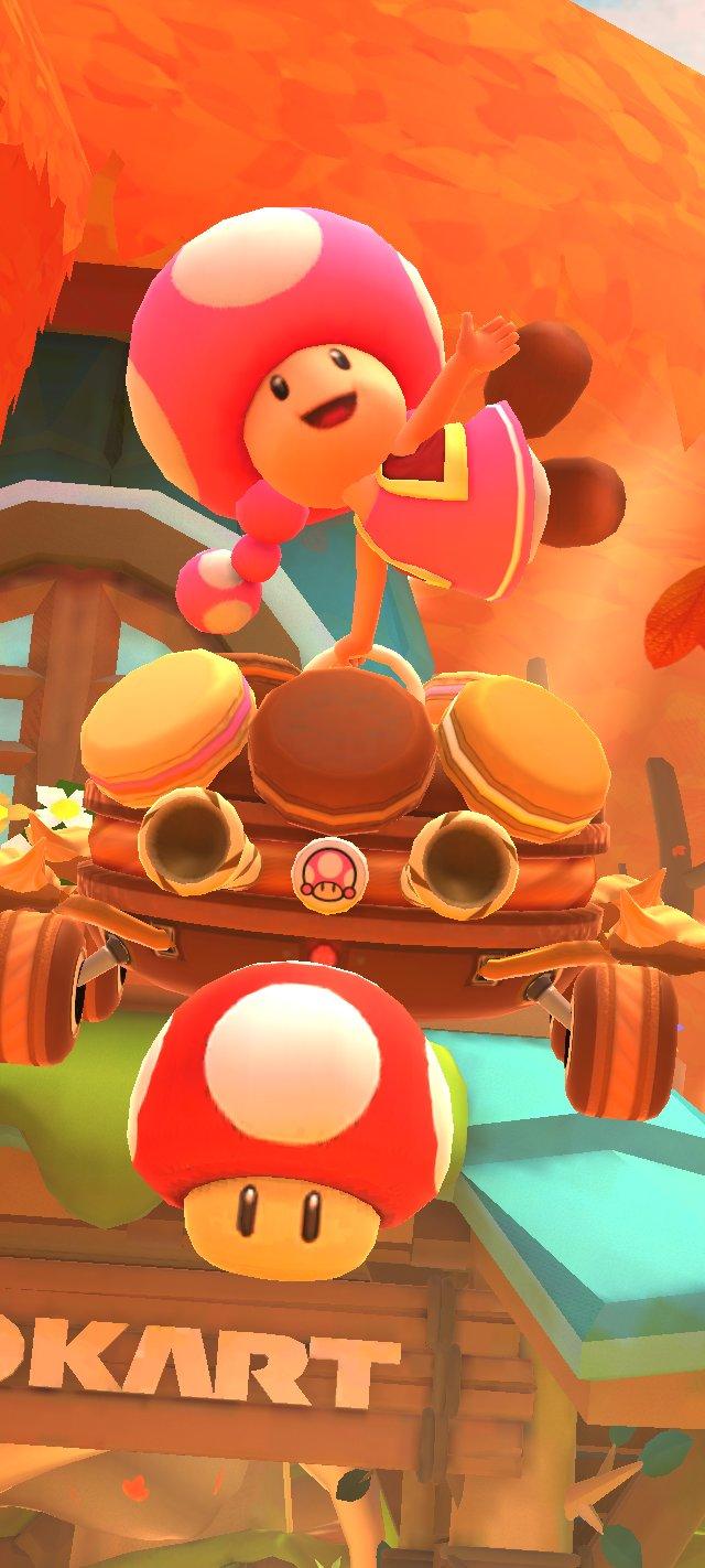 Toadette Wallpapers - Top Free Toadette Backgrounds - WallpaperAccess