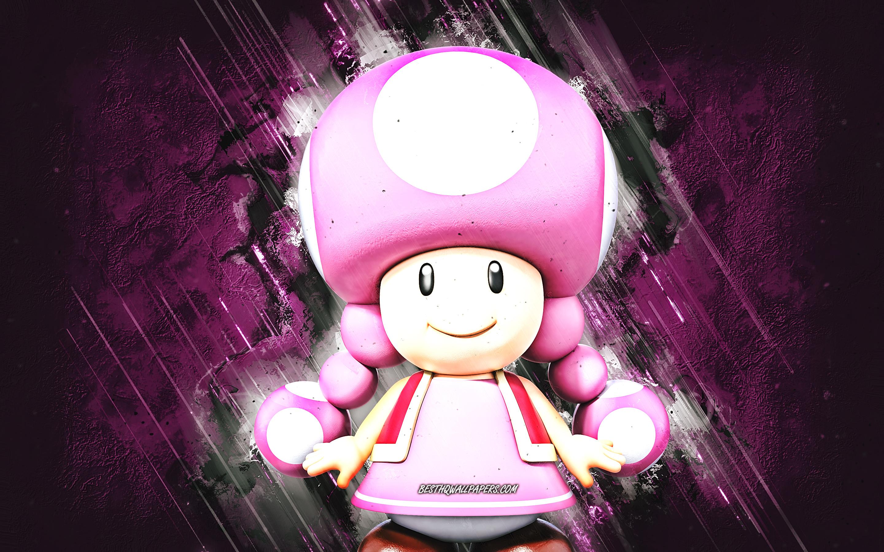 Toadette Wallpapers - Top Free Toadette Backgrounds - WallpaperAccess