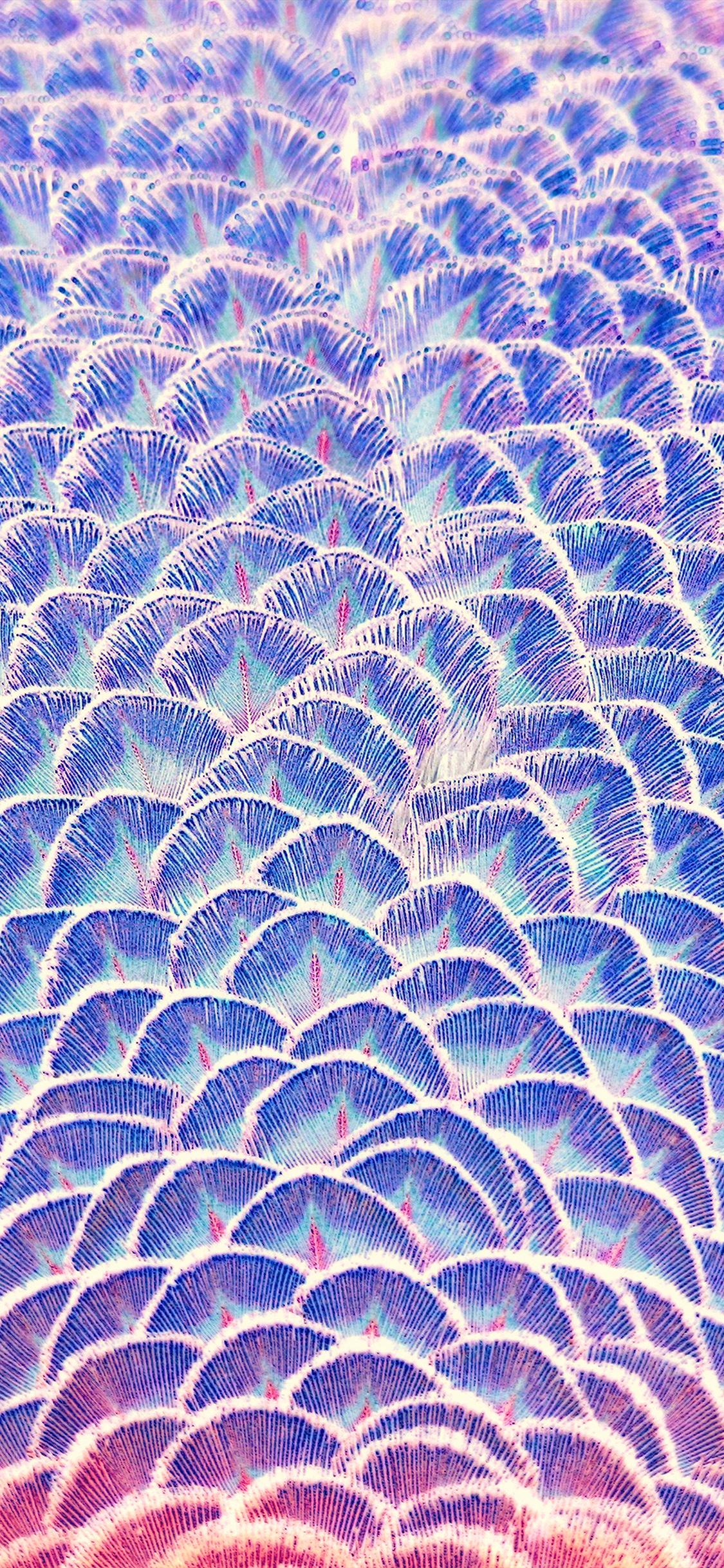 Parrot Feather Wallpapers - Top Free Parrot Feather Backgrounds ...