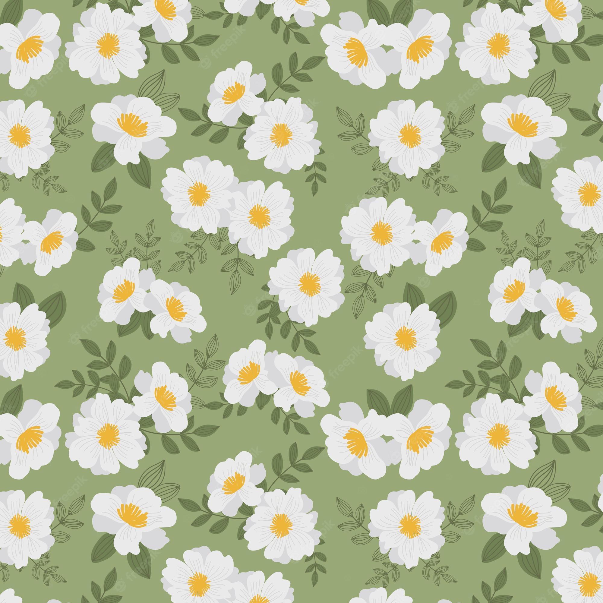 White and Green Flower Wallpapers - Top Free White and Green Flower ...