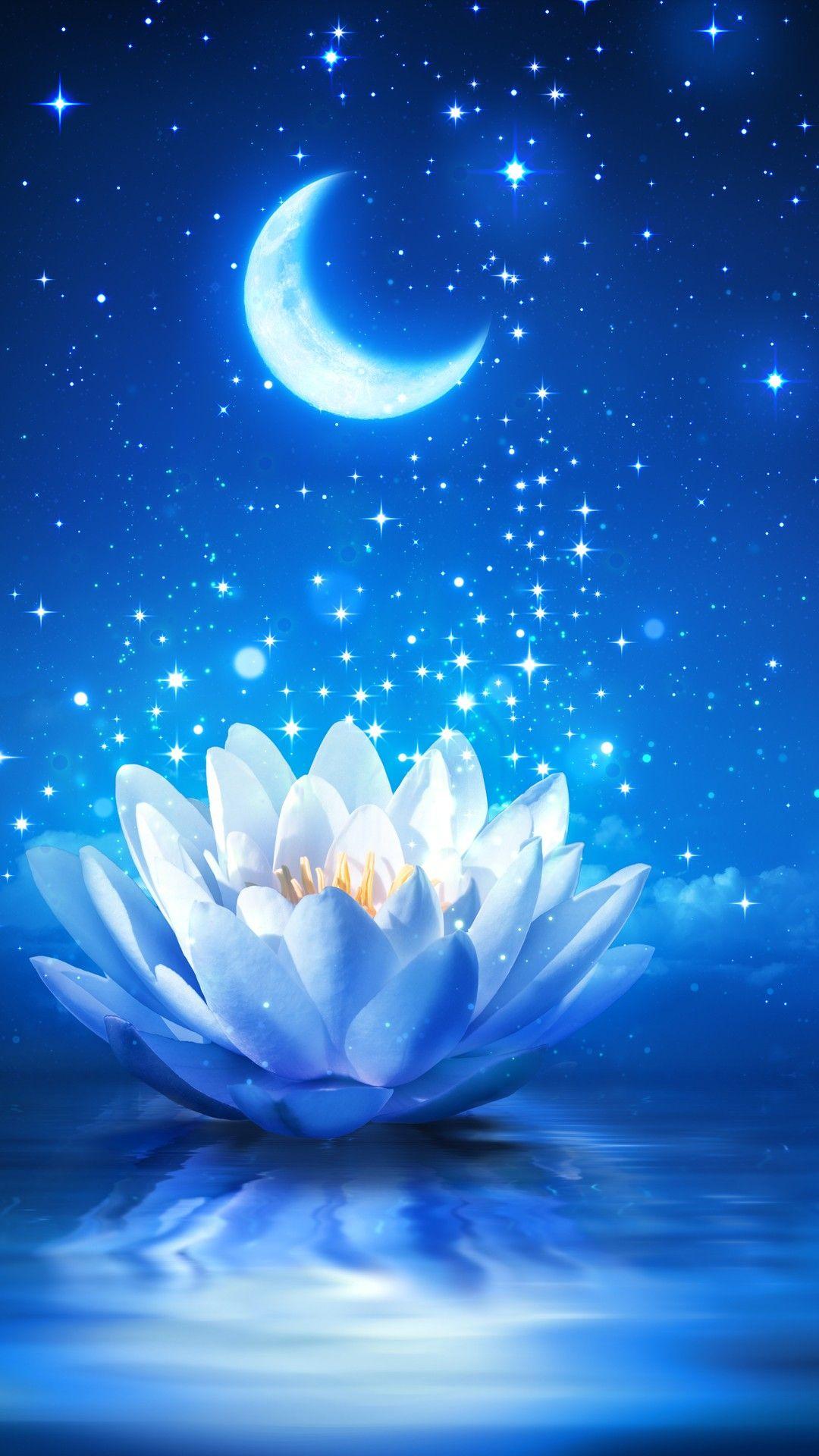 Blue Lotus Flower Wallpapers - Top Free Blue Lotus Flower Backgrounds ...