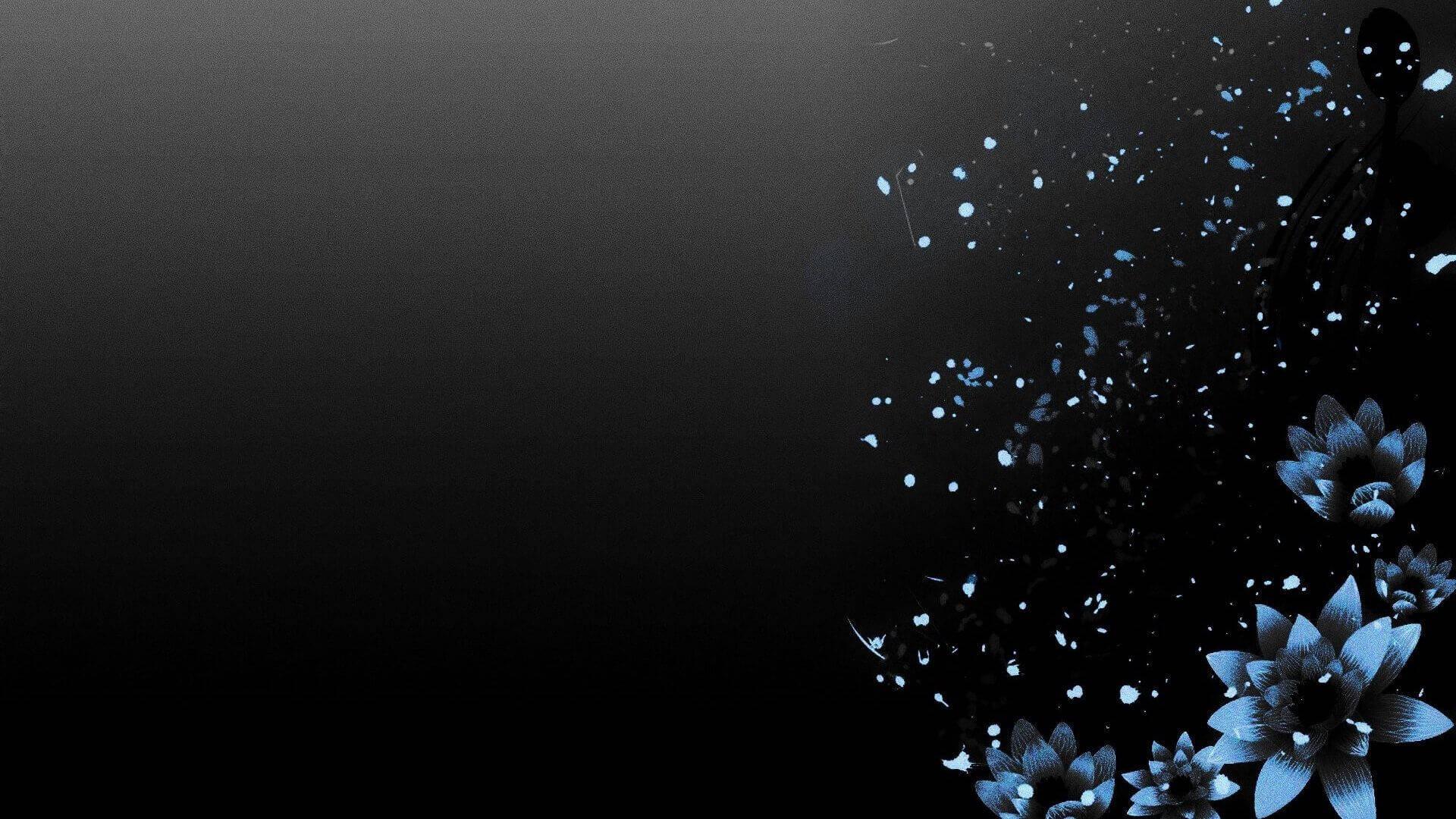 Blue Lotus Flower Wallpapers - Top Free Blue Lotus Flower Backgrounds ...