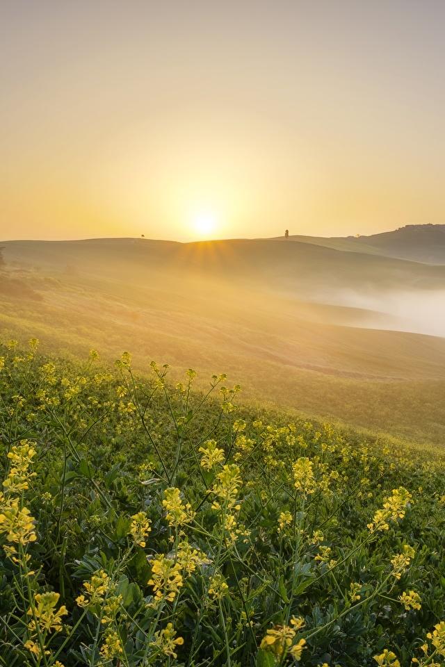 640x960 Wallpapers - Top Free 640x960 Backgrounds - WallpaperAccess