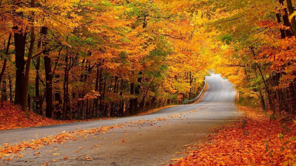 2560X1440 Fall Wallpapers - Top Free 2560X1440 Fall Backgrounds ...