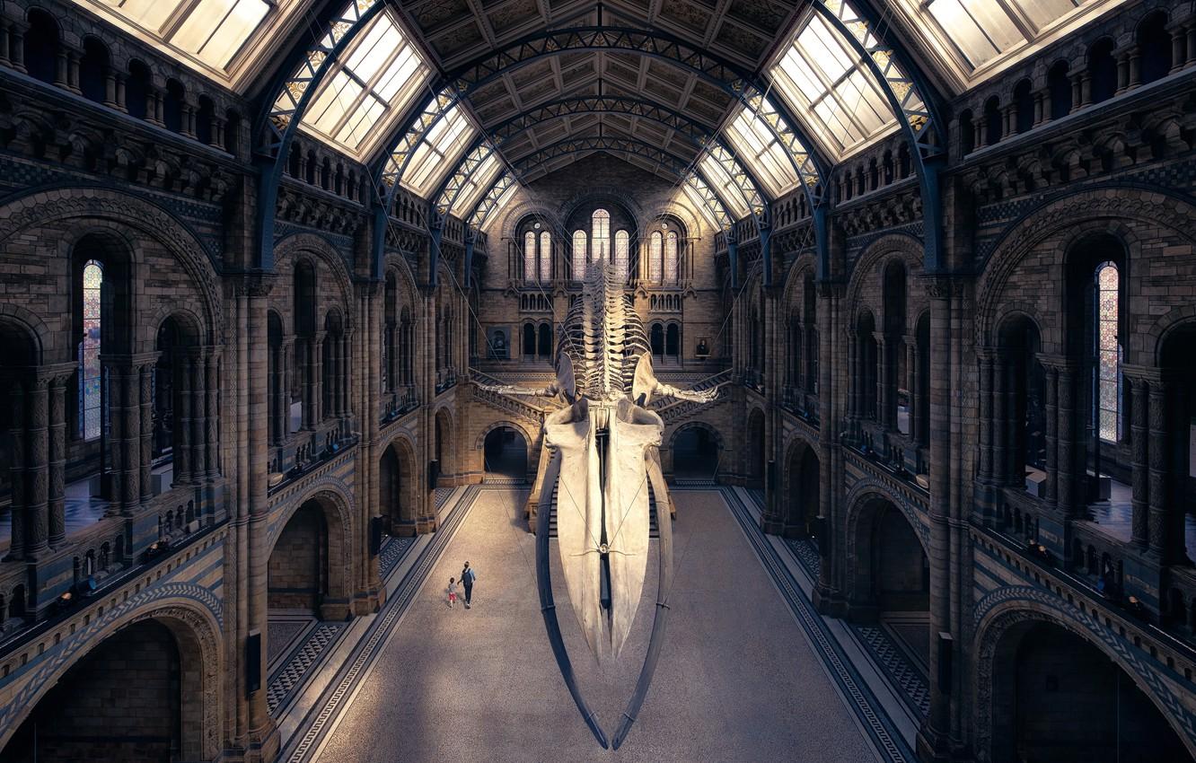 History 4K Wallpapers - Top Free History 4K Backgrounds - WallpaperAccess