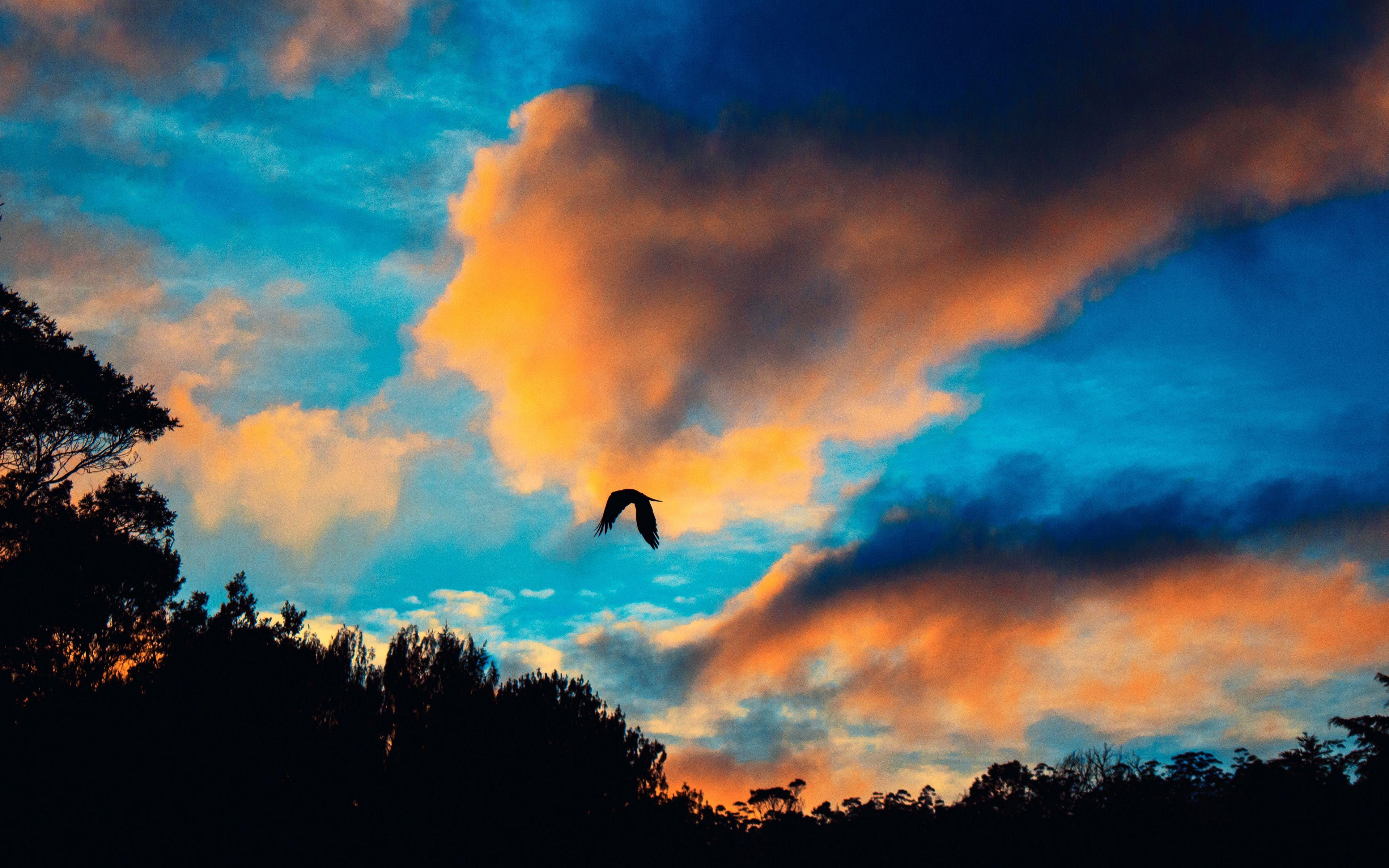 Ultra HD Cloud Wallpapers - Top Free Ultra HD Cloud Backgrounds ...