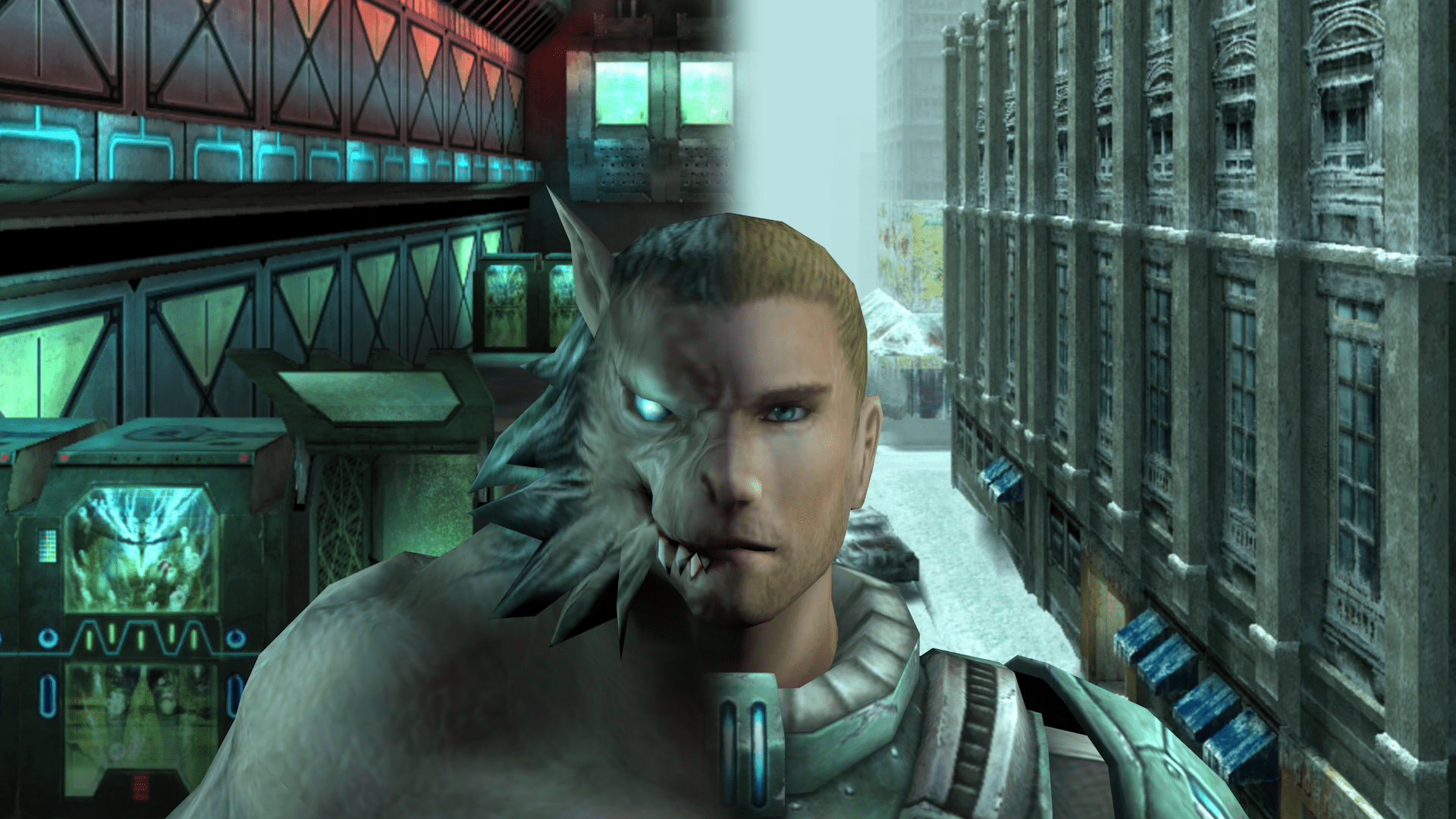 WolfTeam Wallpapers - Top Free WolfTeam Backgrounds - WallpaperAccess