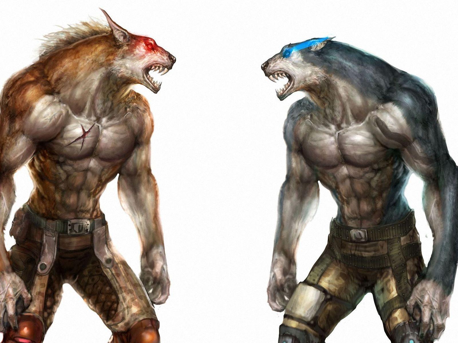 WolfTeam Wallpapers - Top Free WolfTeam Backgrounds - WallpaperAccess