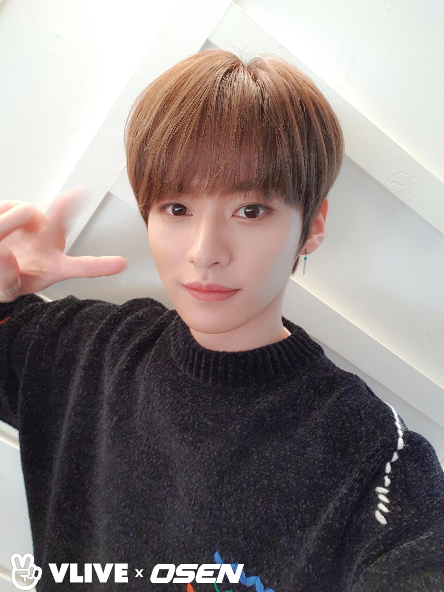 Skz Minho Wallpapers - Top Free Skz Minho Backgrounds - WallpaperAccess