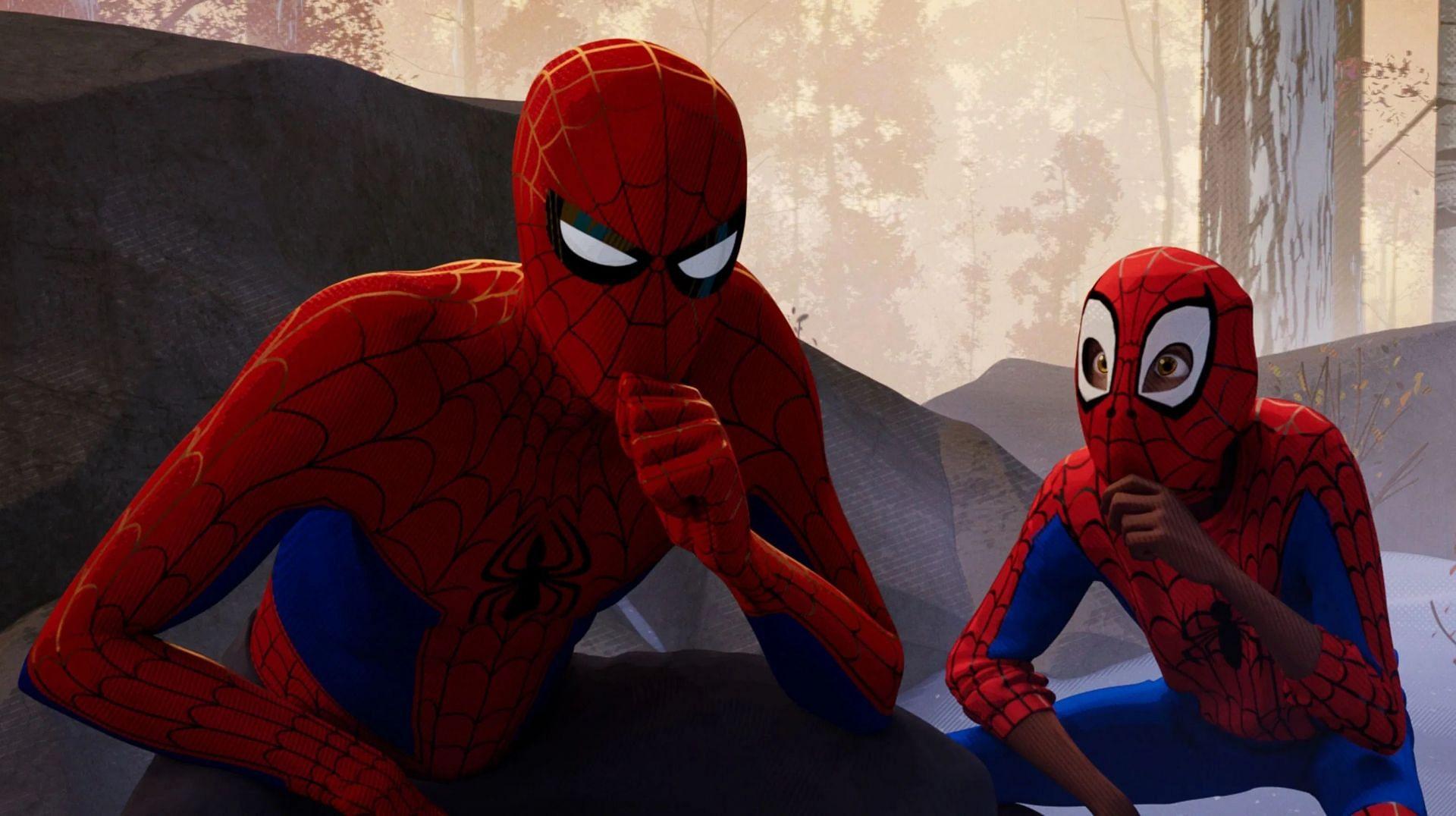 Peter B Parker Wallpapers - Top Free Peter B Parker Backgrounds 
