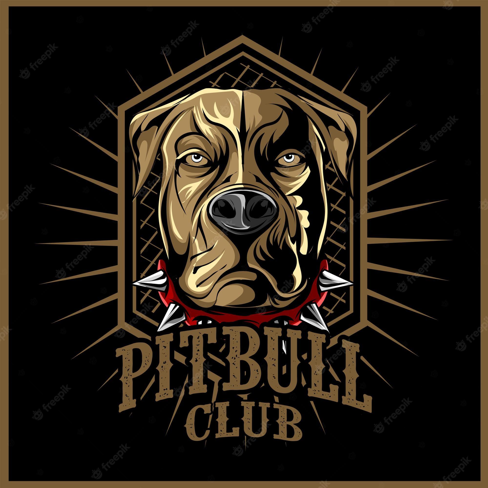 Angry Pitbull Wallpapers - Top Free Angry Pitbull Backgrounds ...