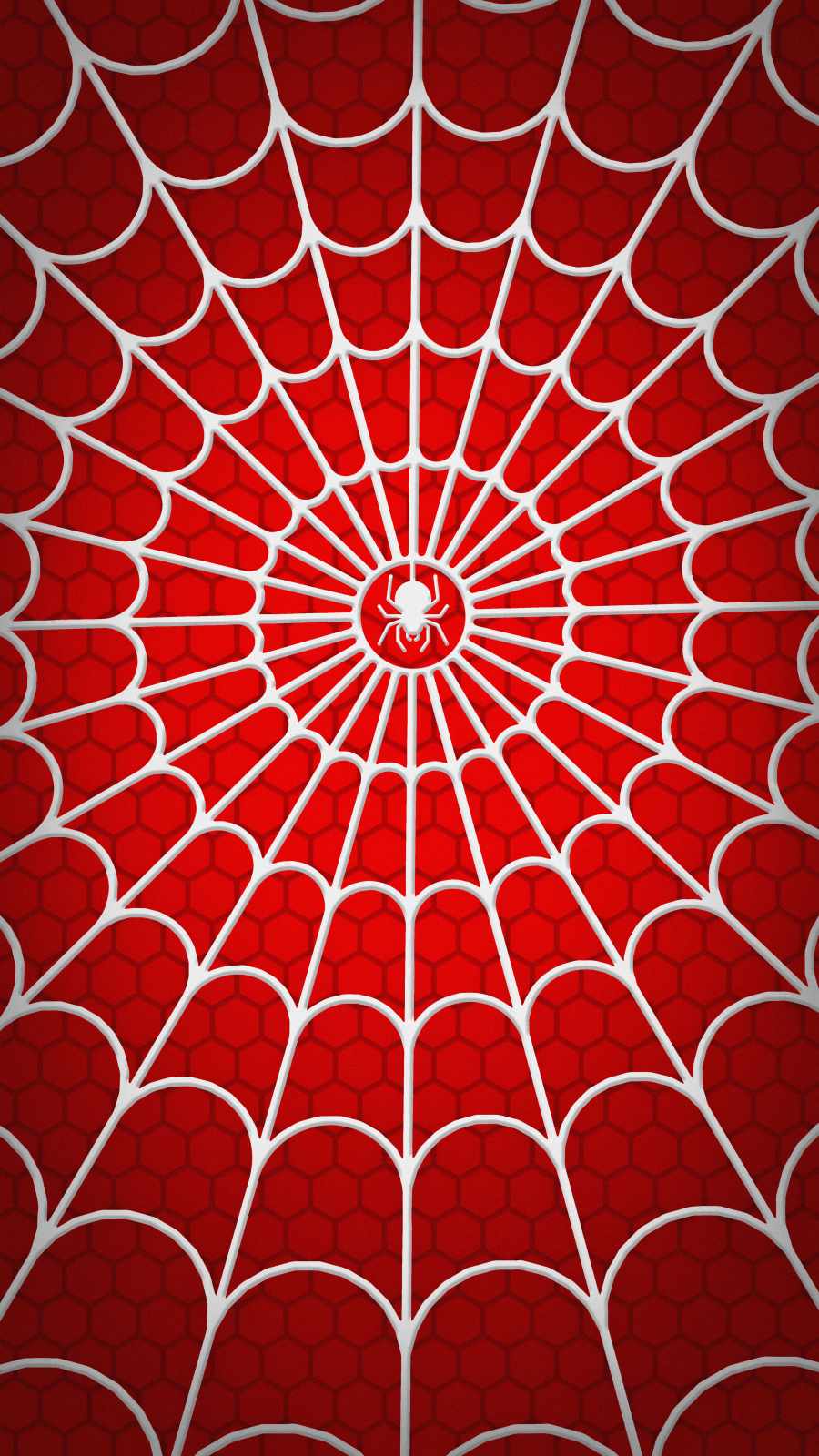 Spider Web Phone Wallpapers - Top Free Spider Web Phone Backgrounds ...