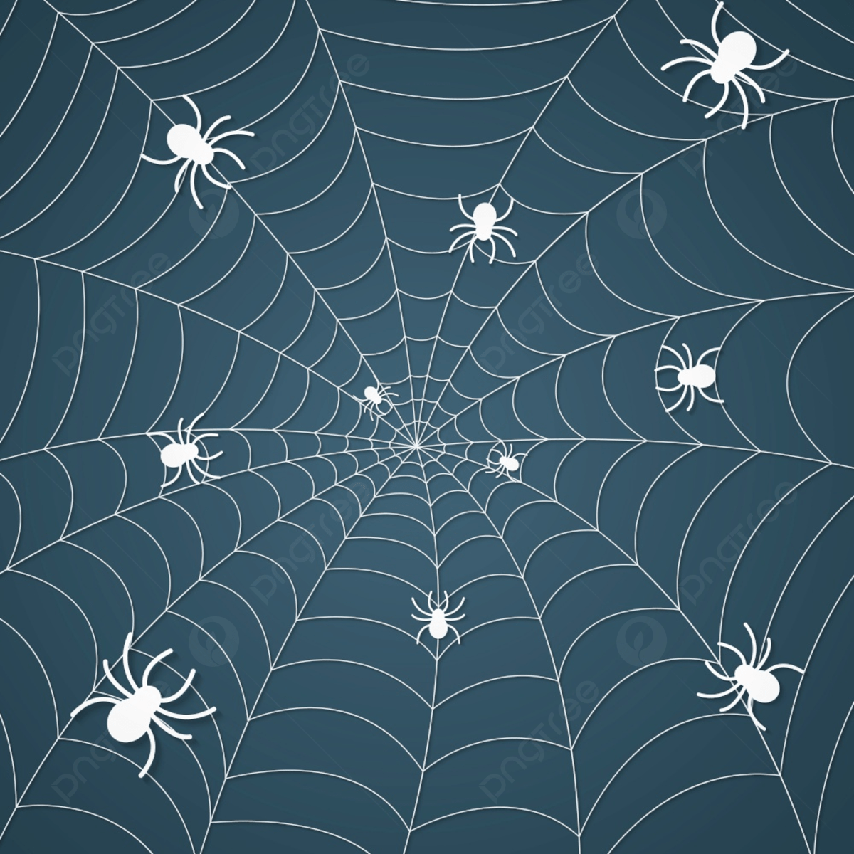 Spider Web Phone Wallpapers - Top Free Spider Web Phone Backgrounds ...